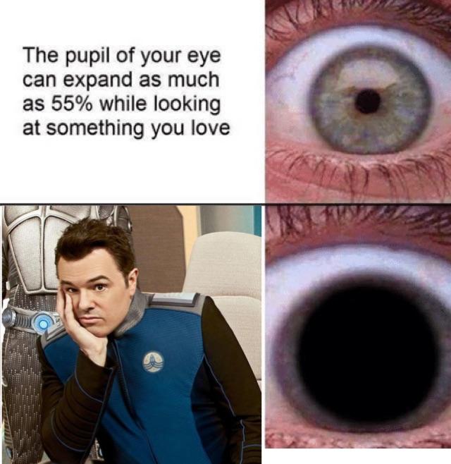 oh captain my captain | Scrolller