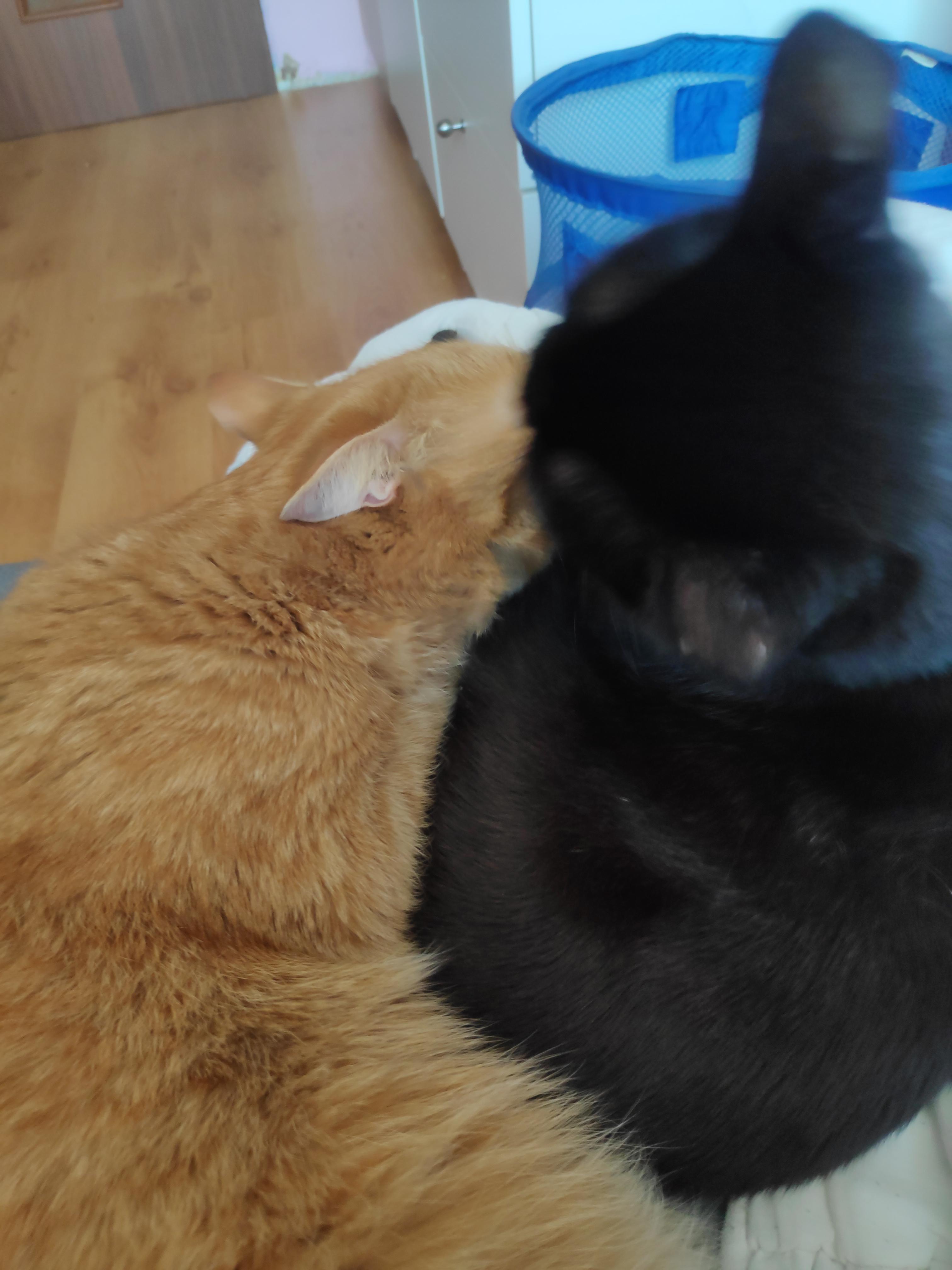 Oh lawd they bonding | Scrolller