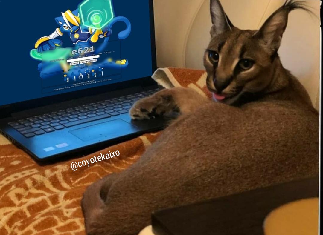 Flop_irl | Scrolller