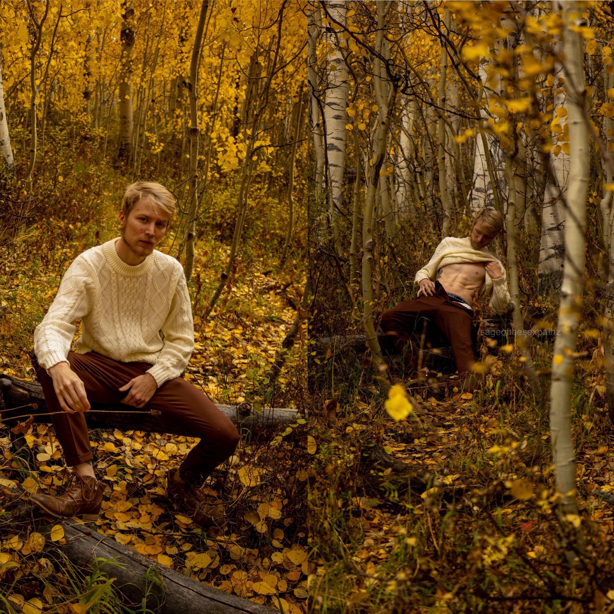 oh wow an Aspen | Scrolller