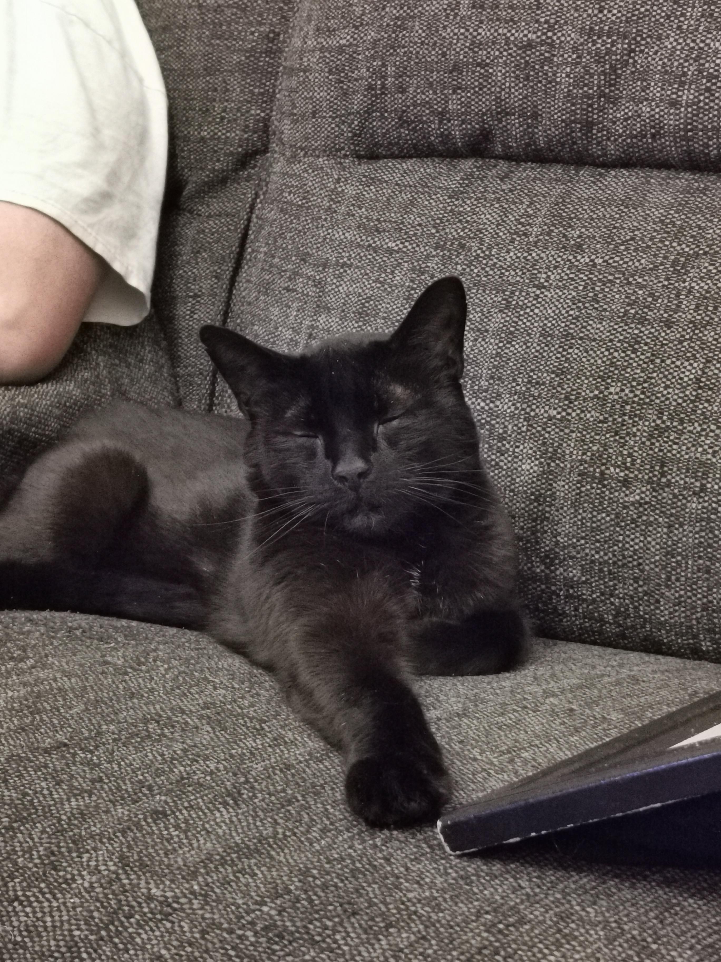 Old and wise | Scrolller