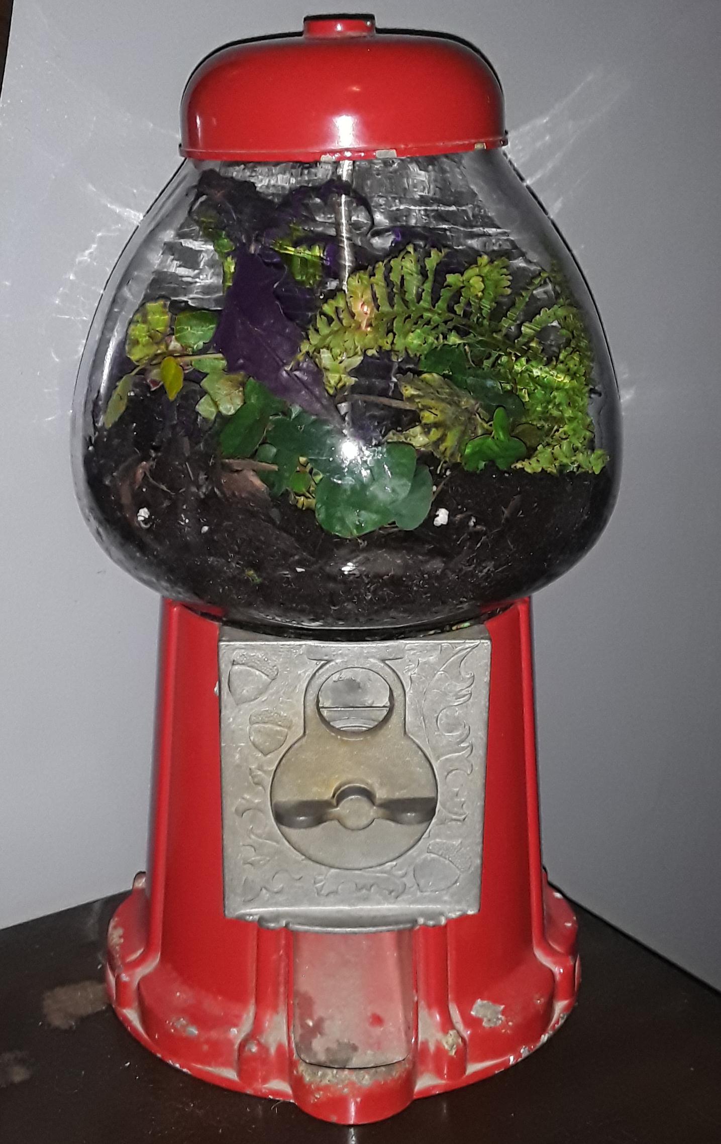 Old gumball machine! | Scrolller