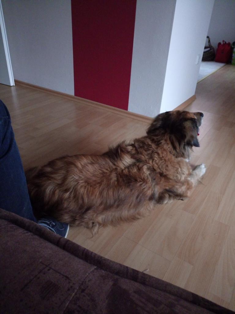 Old loaf | Scrolller