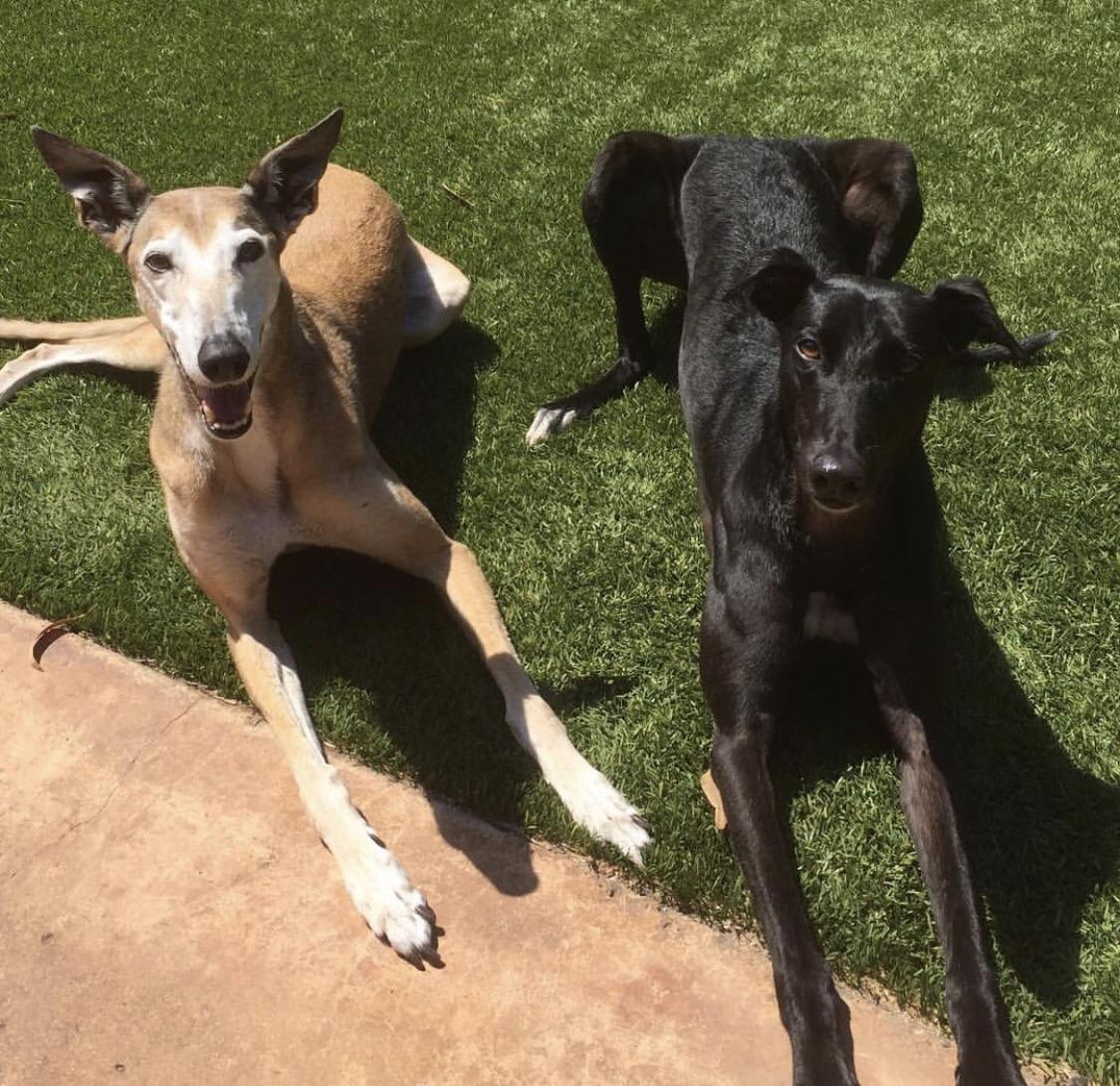 Old long and young long | Scrolller