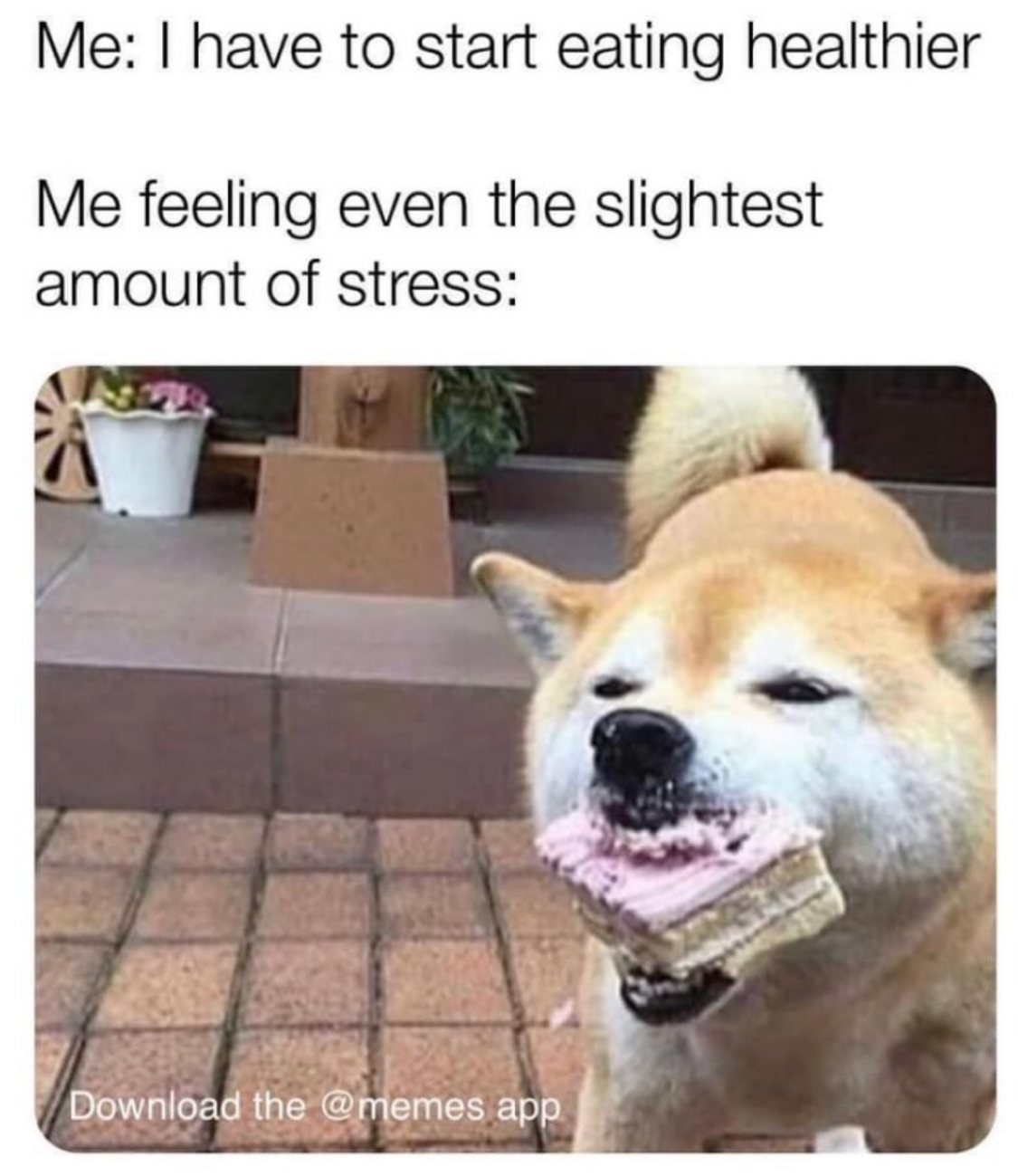 Om nom nom nom | Scrolller