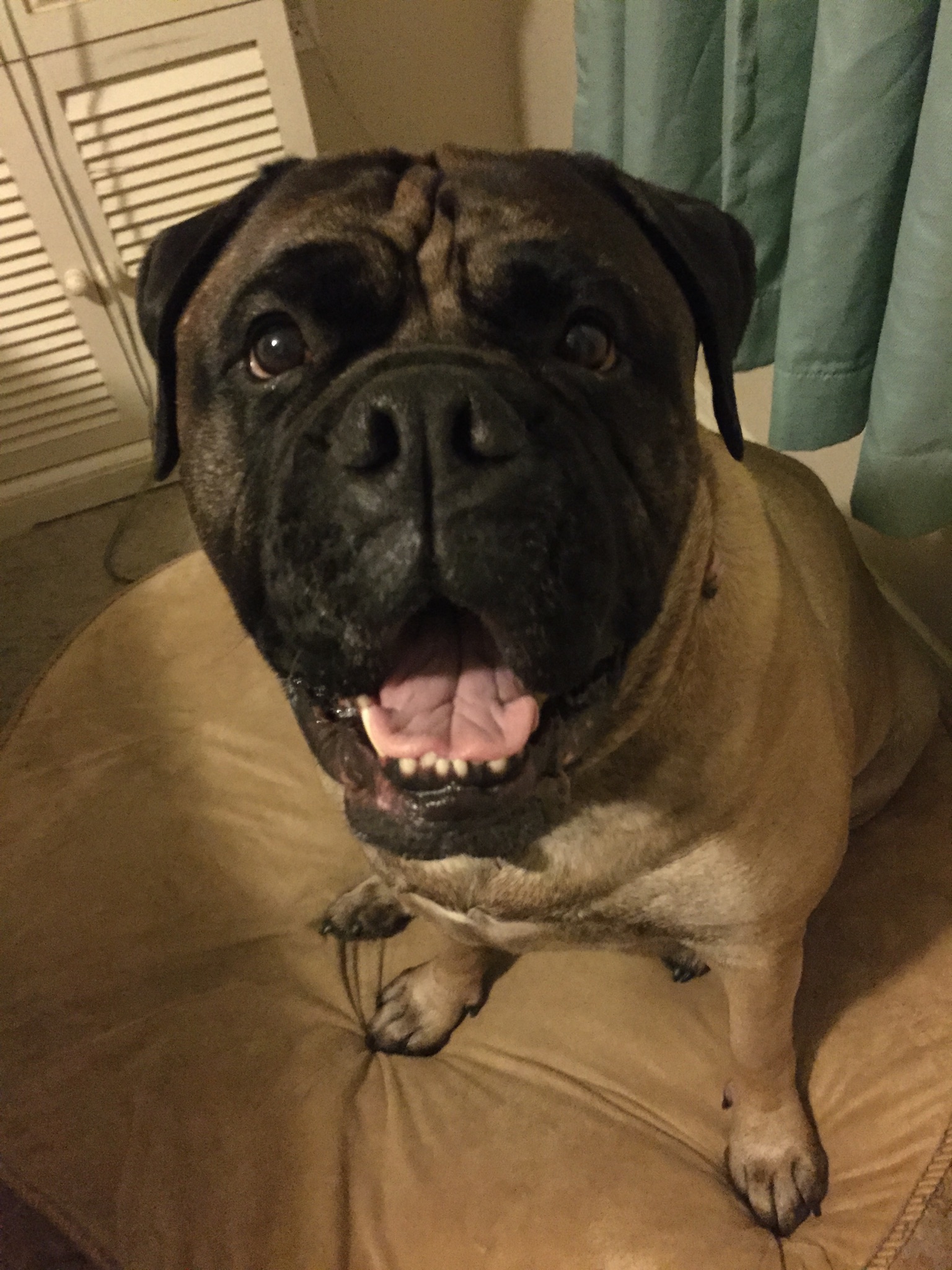 OMG I'm 7 today?! | Scrolller