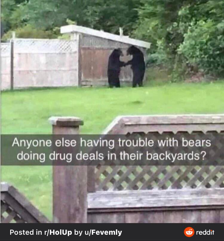 Omg right in my backyard | Scrolller