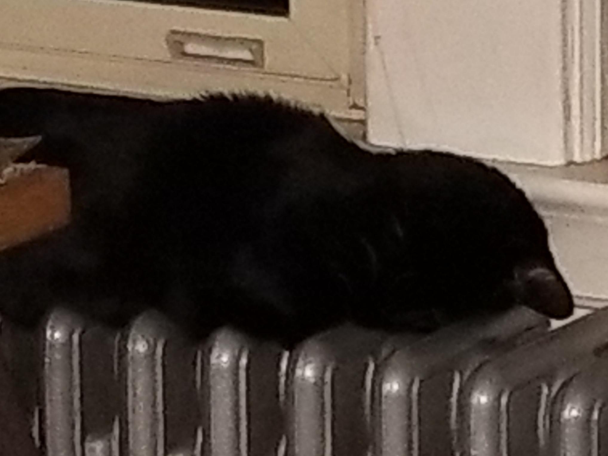 On the heater..... | Scrolller