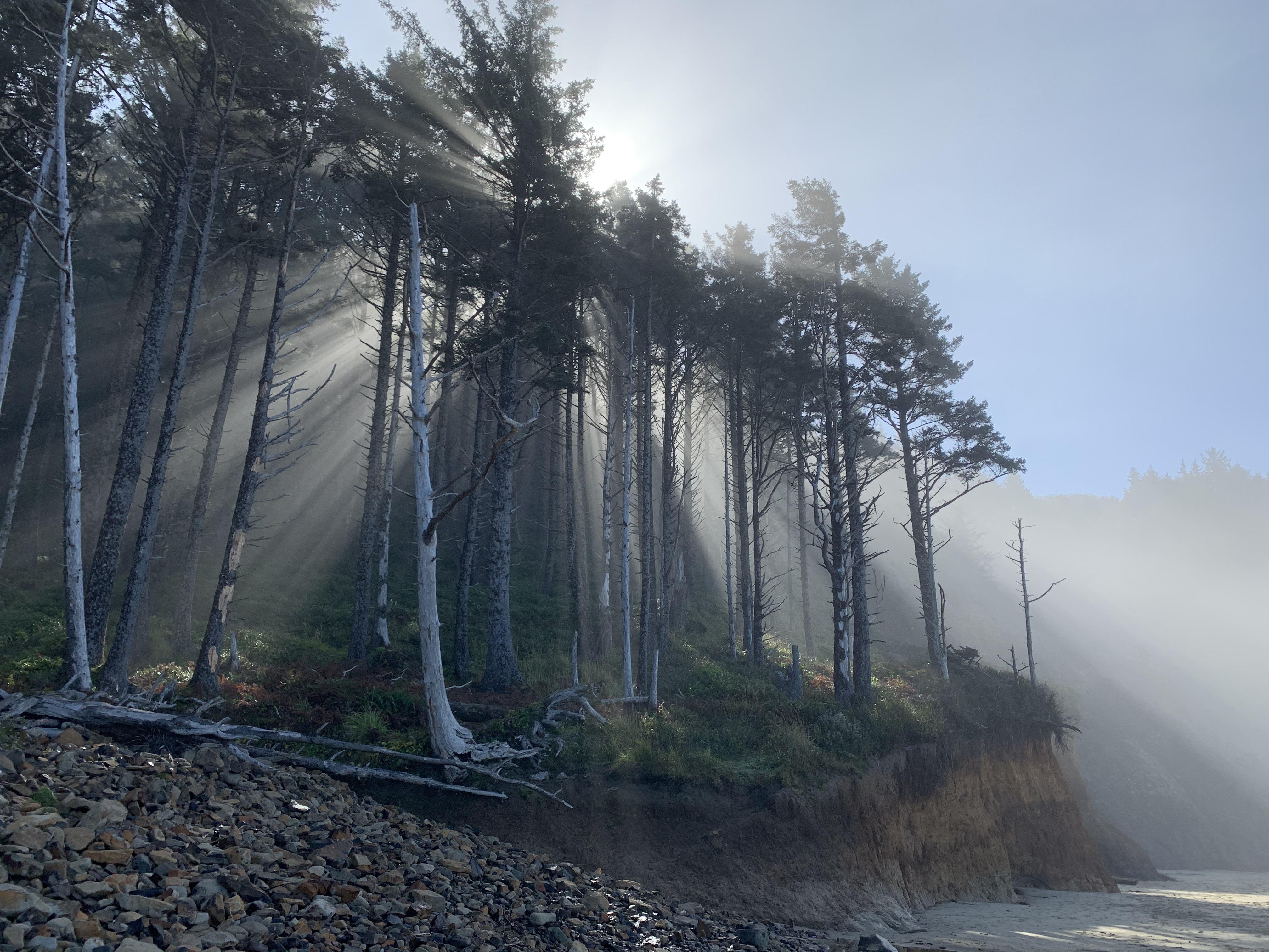 On the Oregon coast | Scrolller