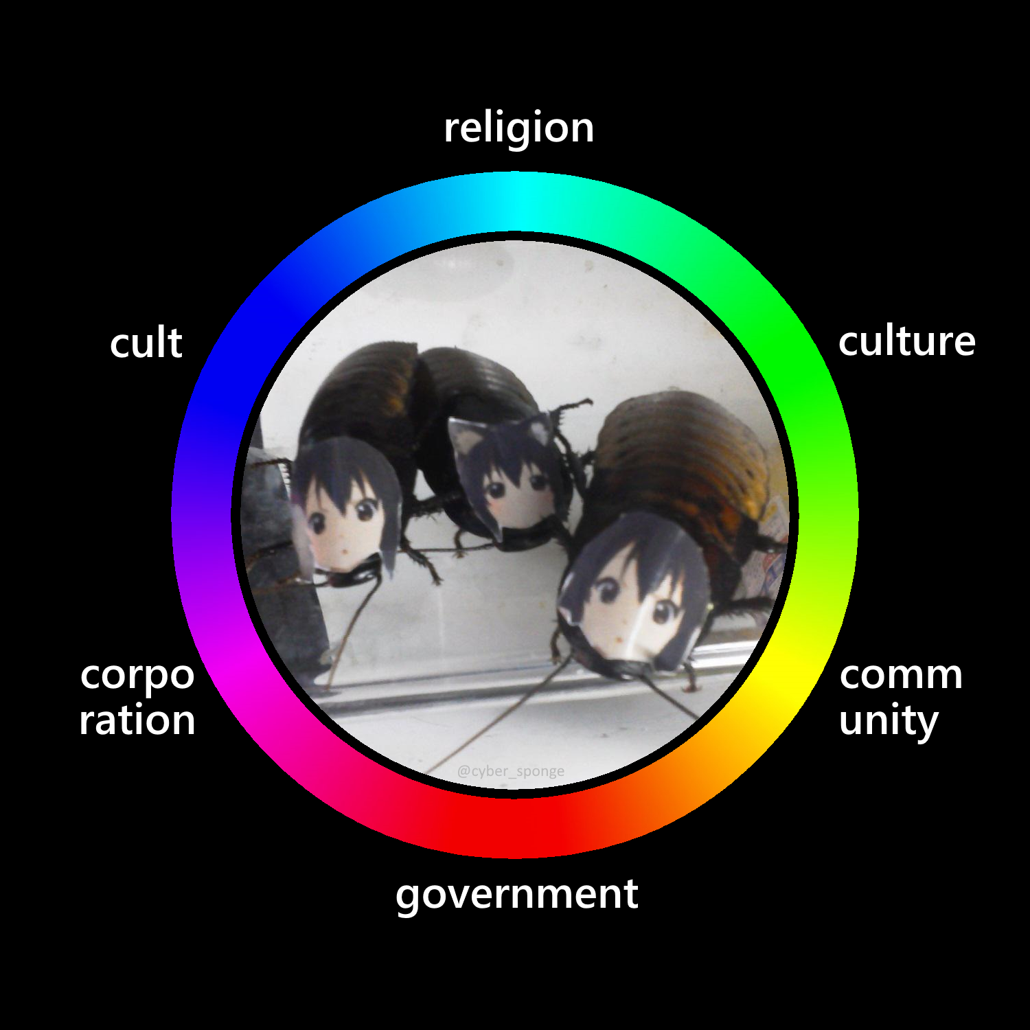 on the spectrum | Scrolller