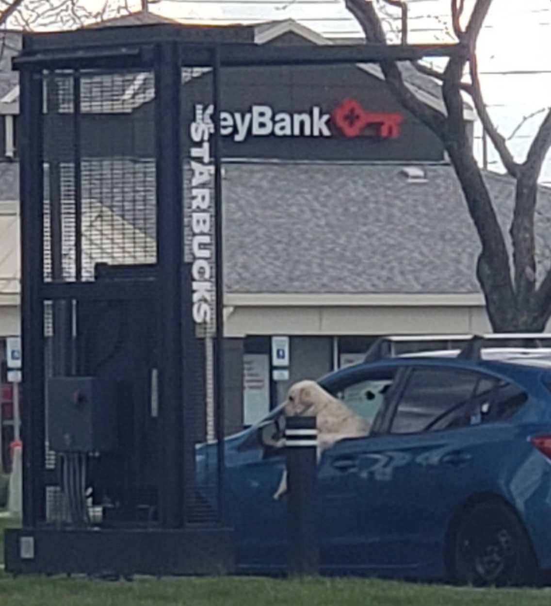 One capPUPccino please! I'm having a RUFF day. | Scrolller