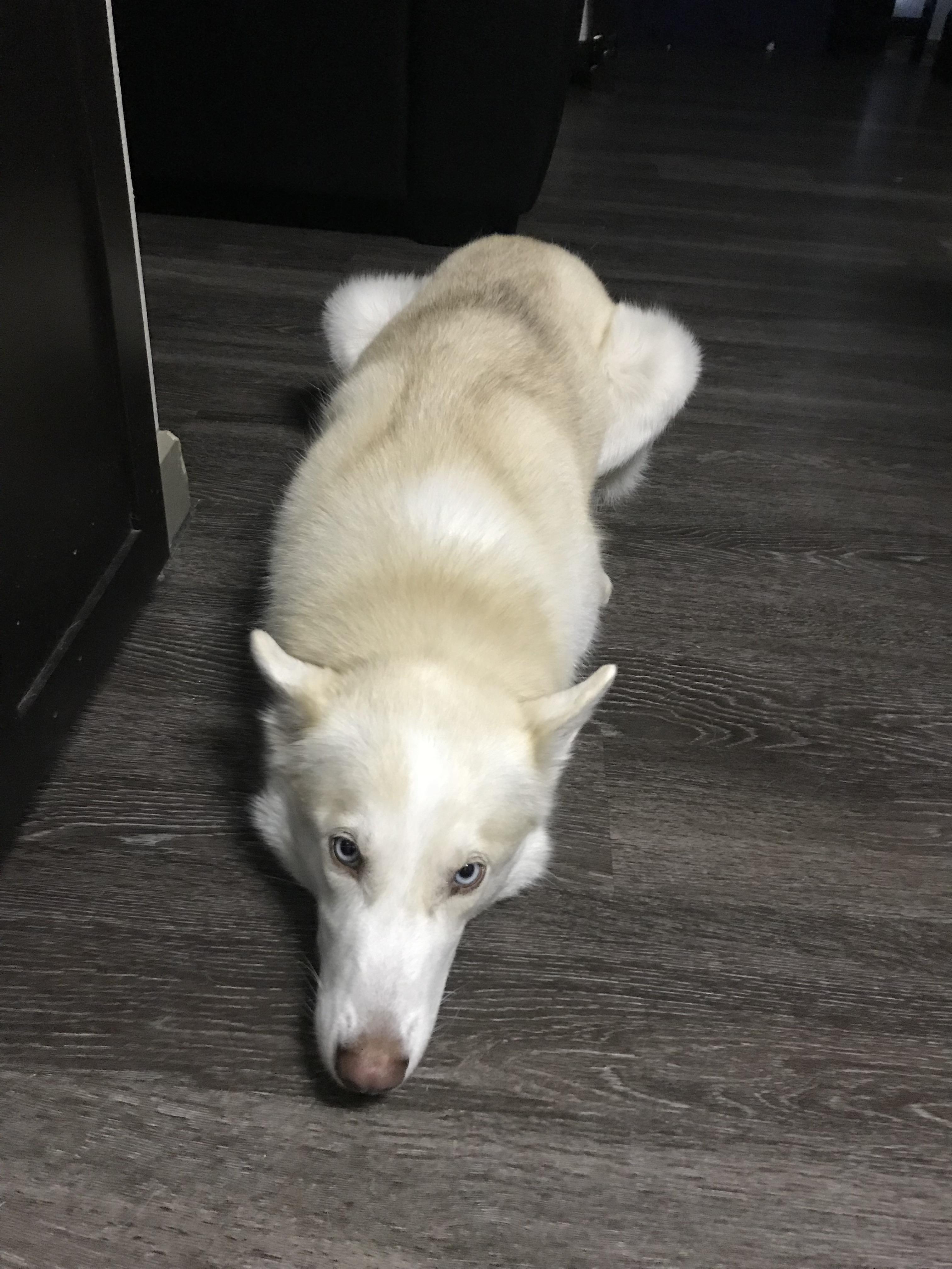 One good loaf waiting by the kitchen | Scrolller