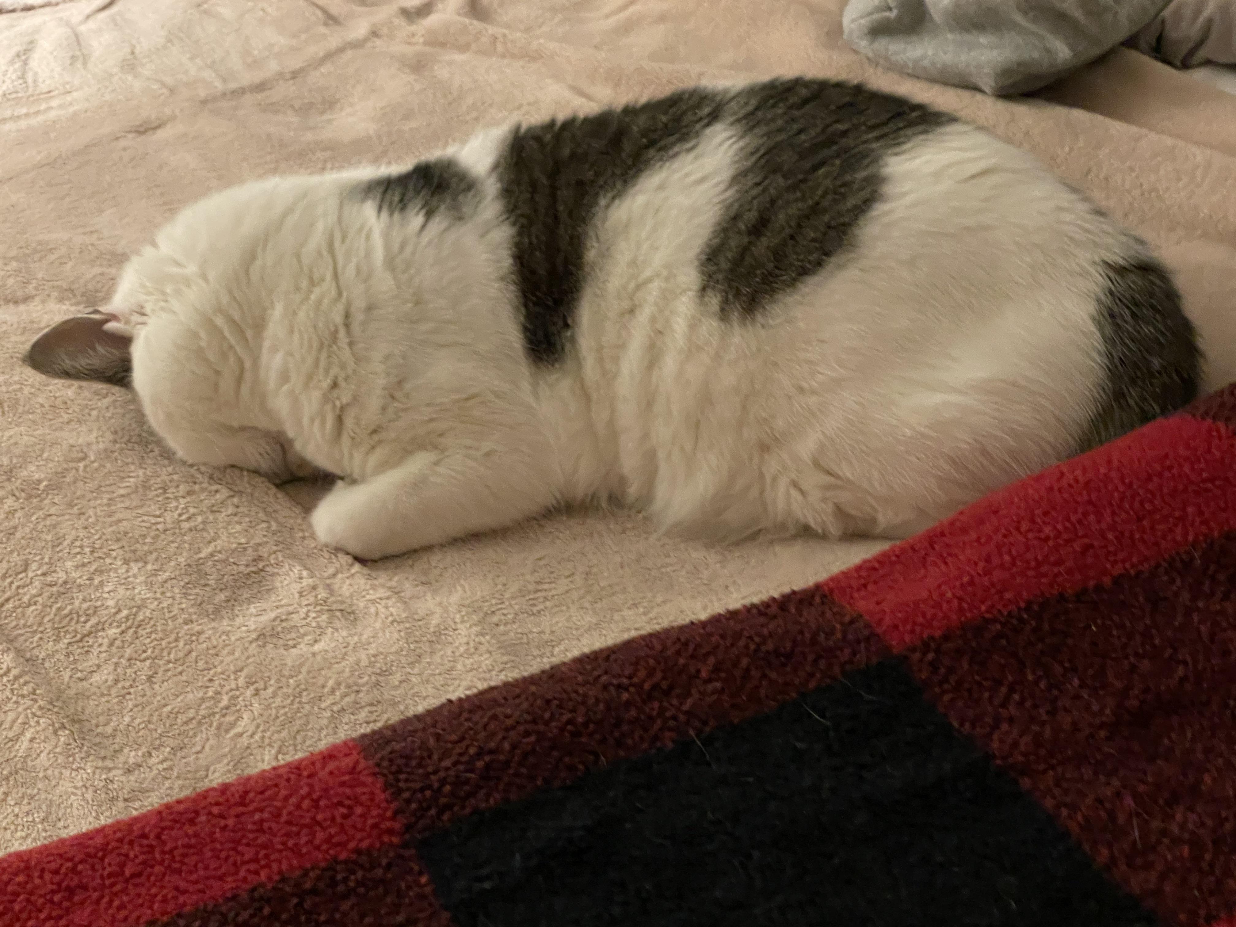 One minute he’s awake, the next.... | Scrolller