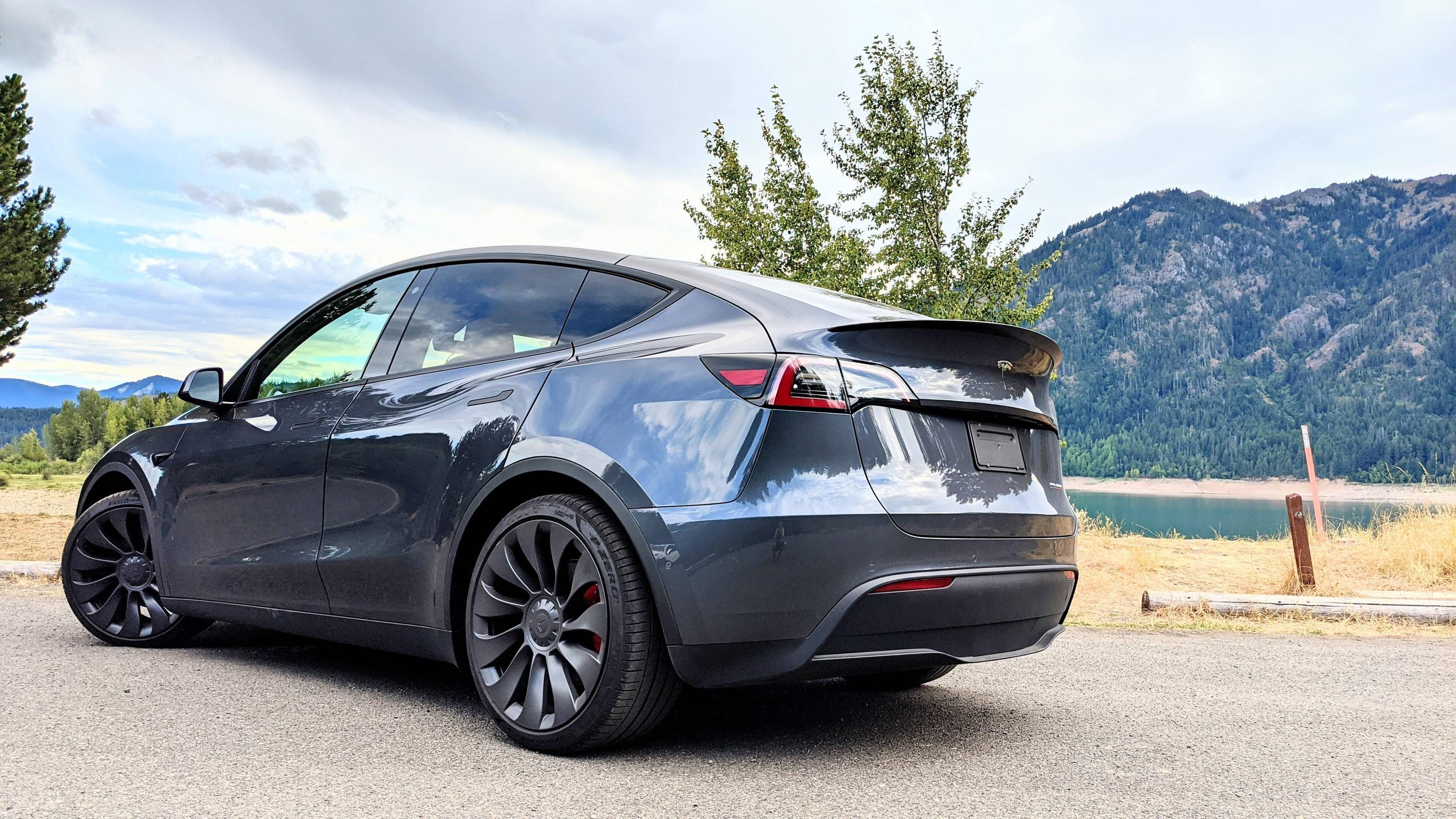 One month anniversary of having my MSM MYP | Scrolller