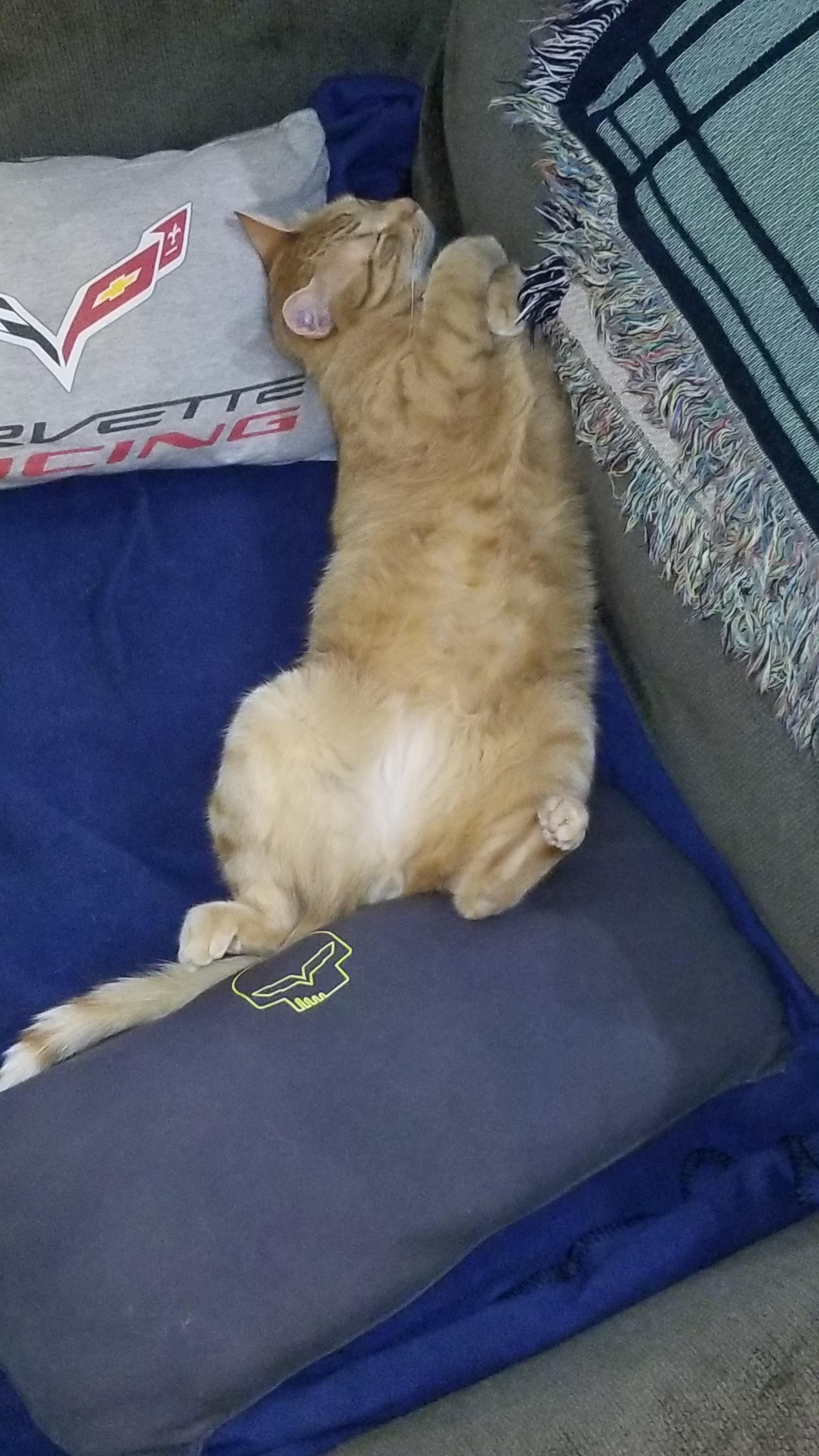 One of his favorite spots | Scrolller