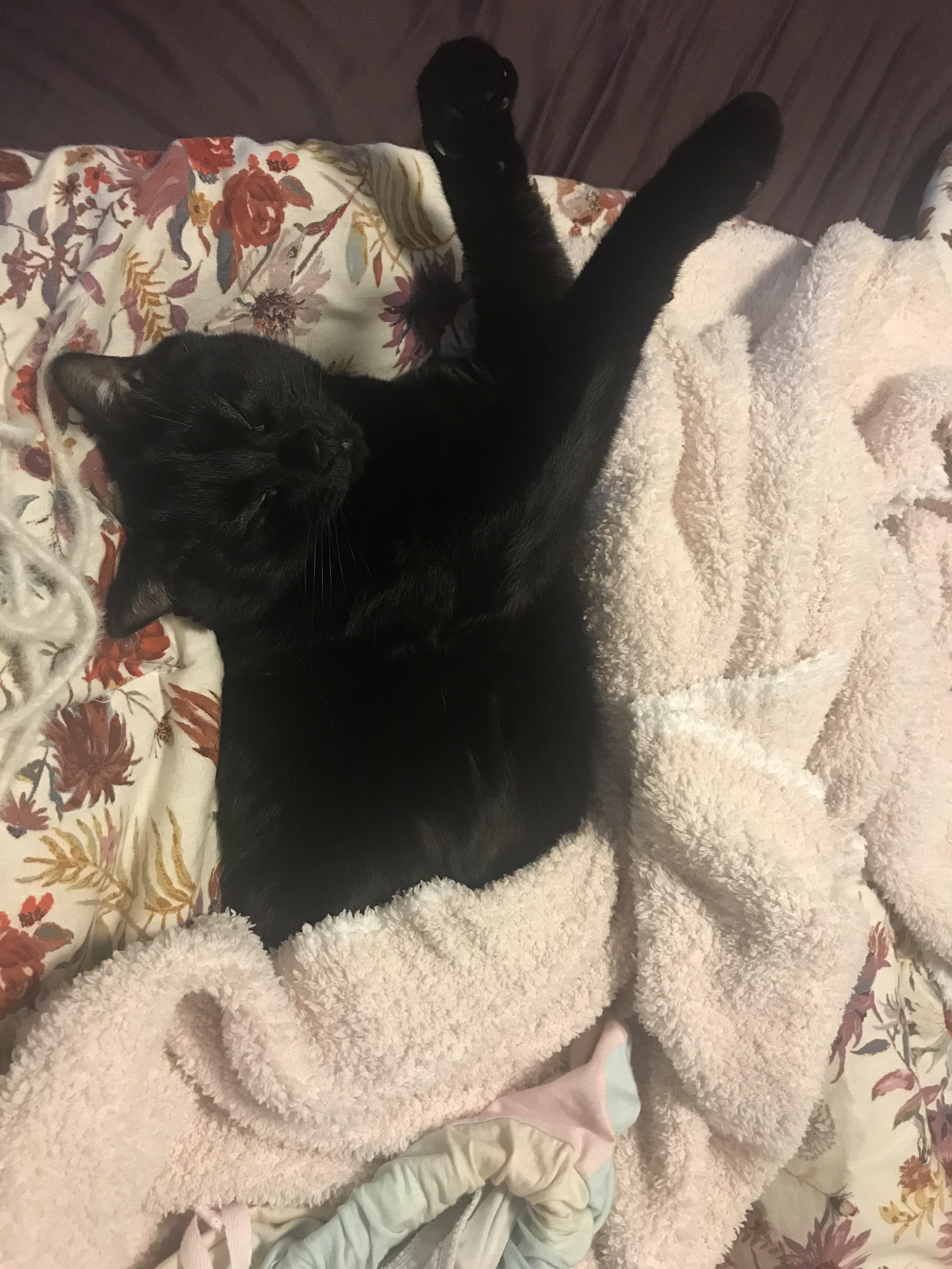 One sleepy boy | Scrolller