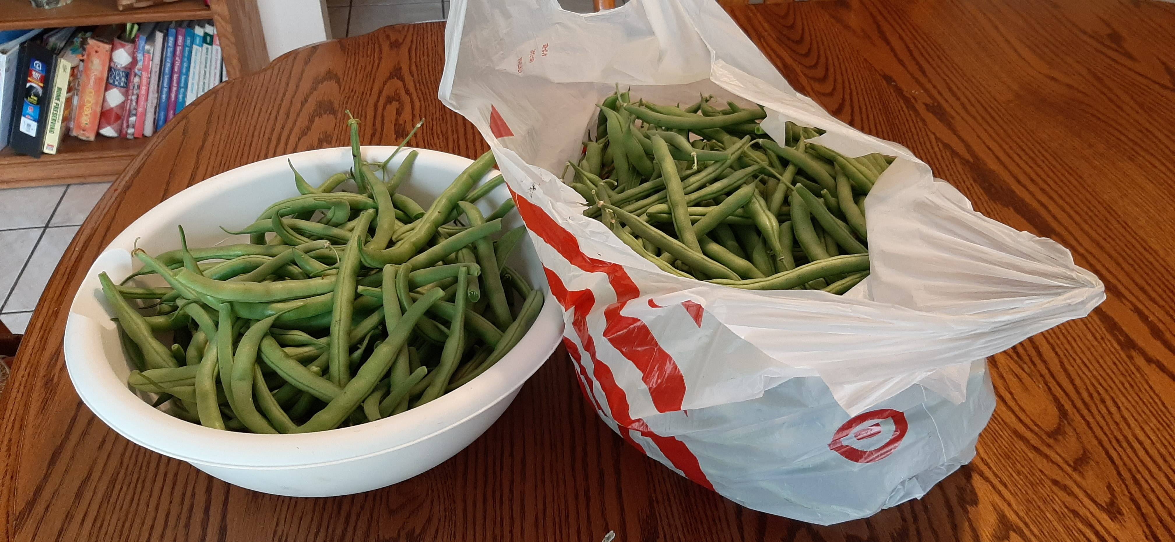 One weeks haul of green beans. 11 pounds! | Scrolller