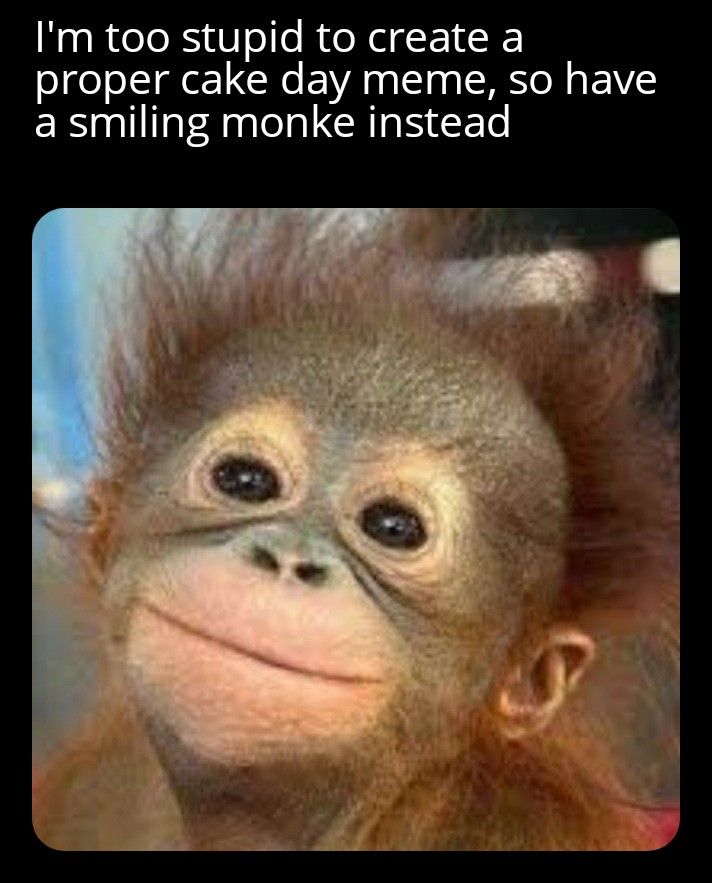 One year here already... | Scrolller