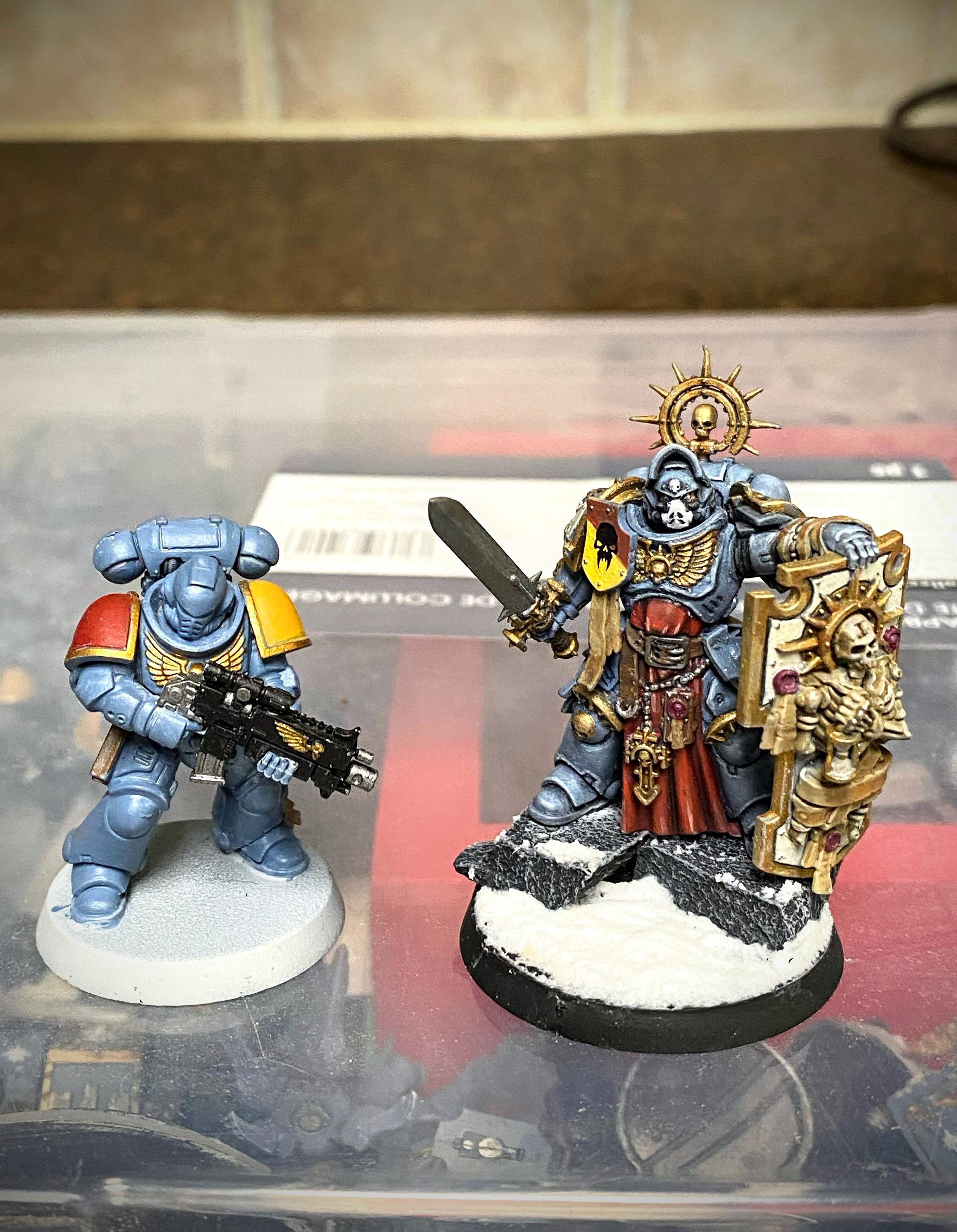 One years progress | Scrolller