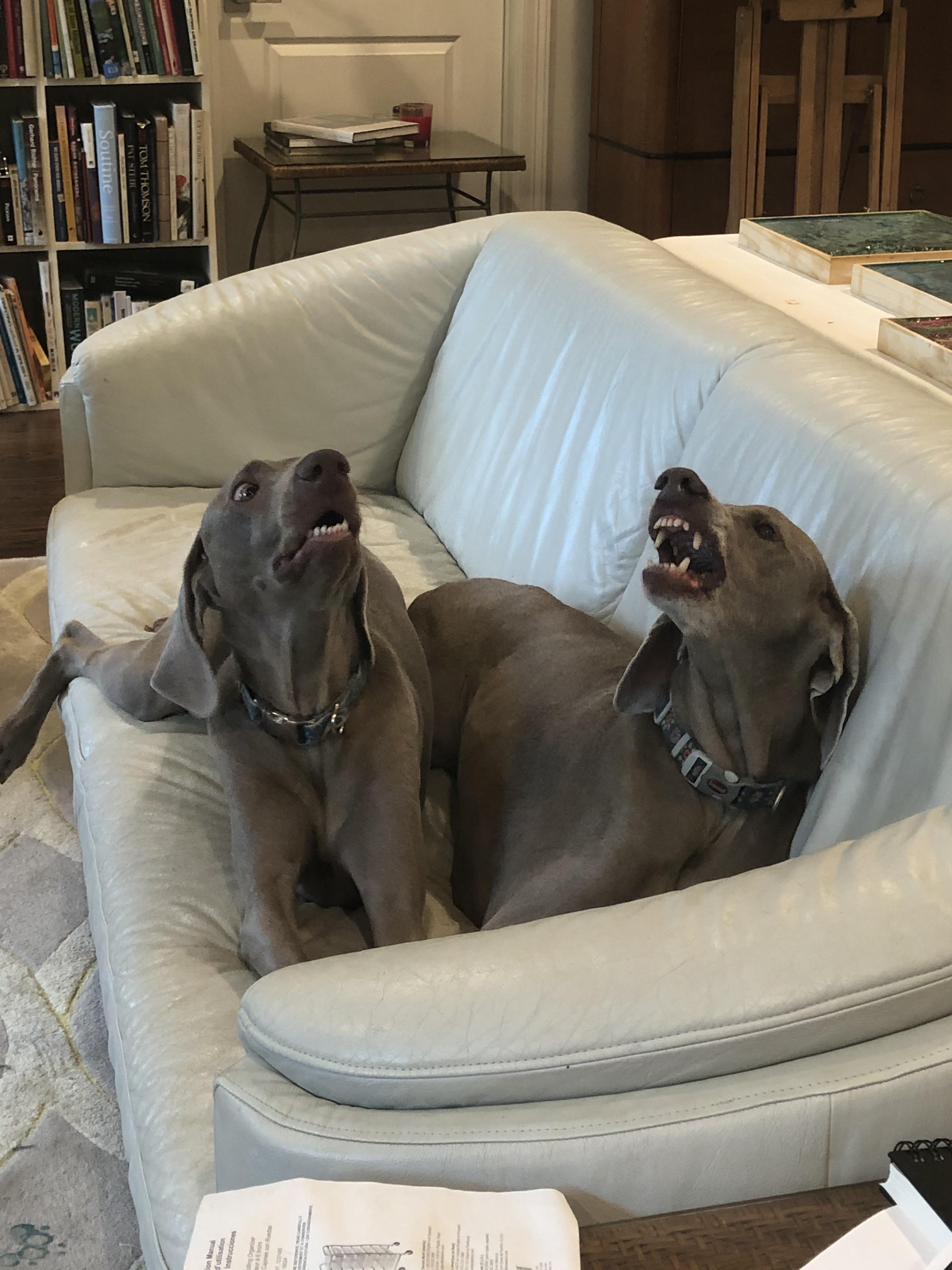 Ongoing argument | Scrolller