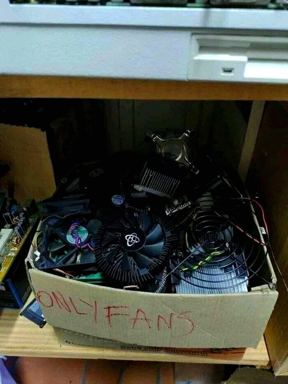 Only fans | Scrolller