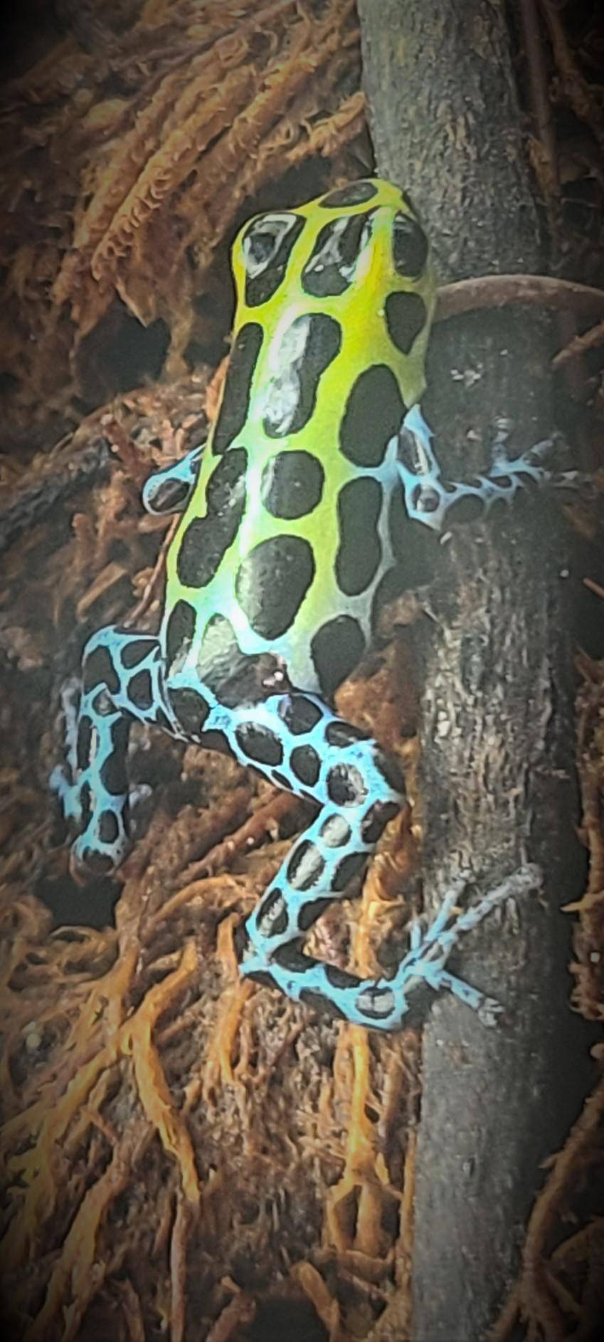 Only nature could produce such a masterpiece... | Scrolller