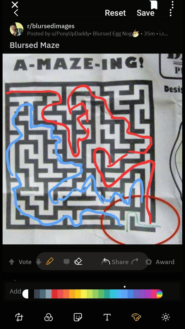 Only one path | Scrolller