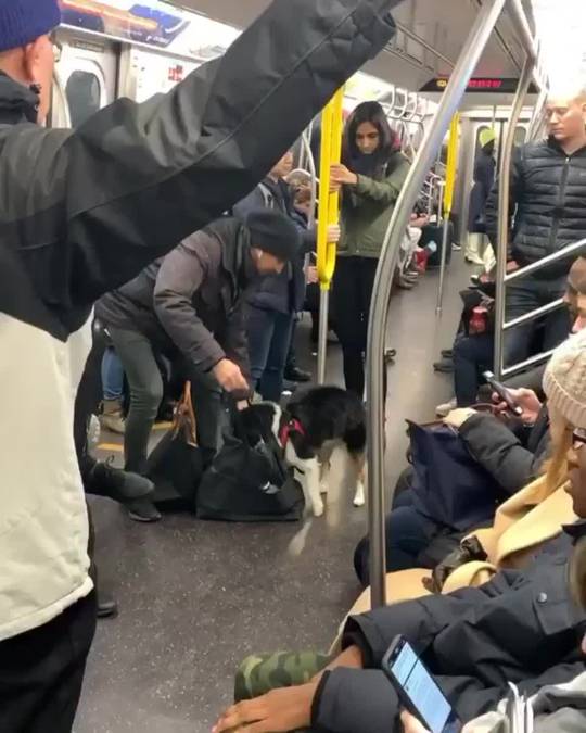 Only pack the essentials. | Scrolller