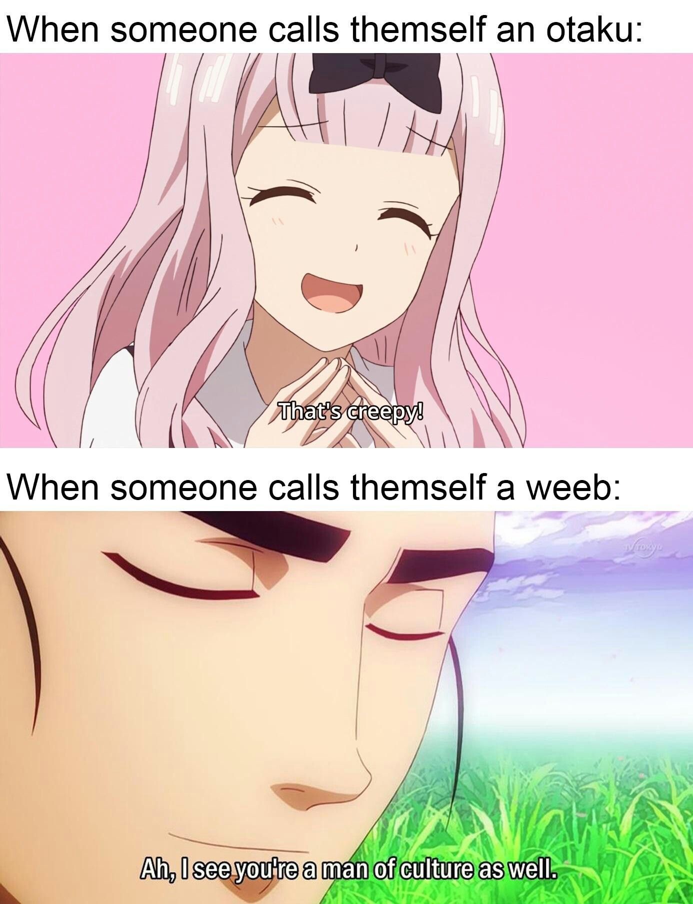 only real weebs will understand | Scrolller