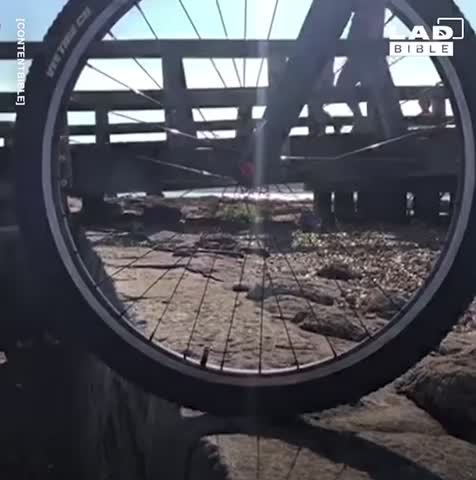 From spectacular to spectacular failure | Scrolller