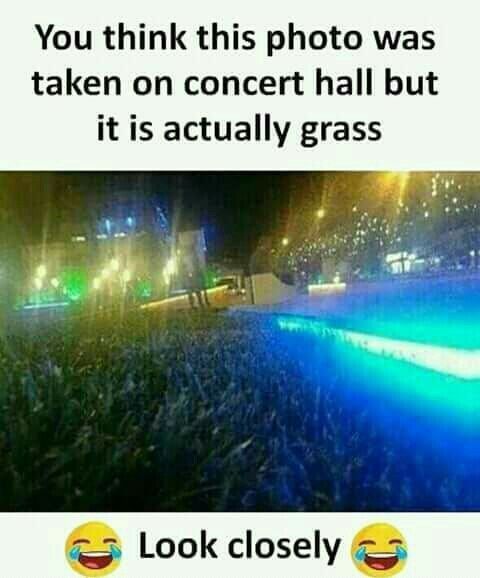 Optical Illusion | Scrolller