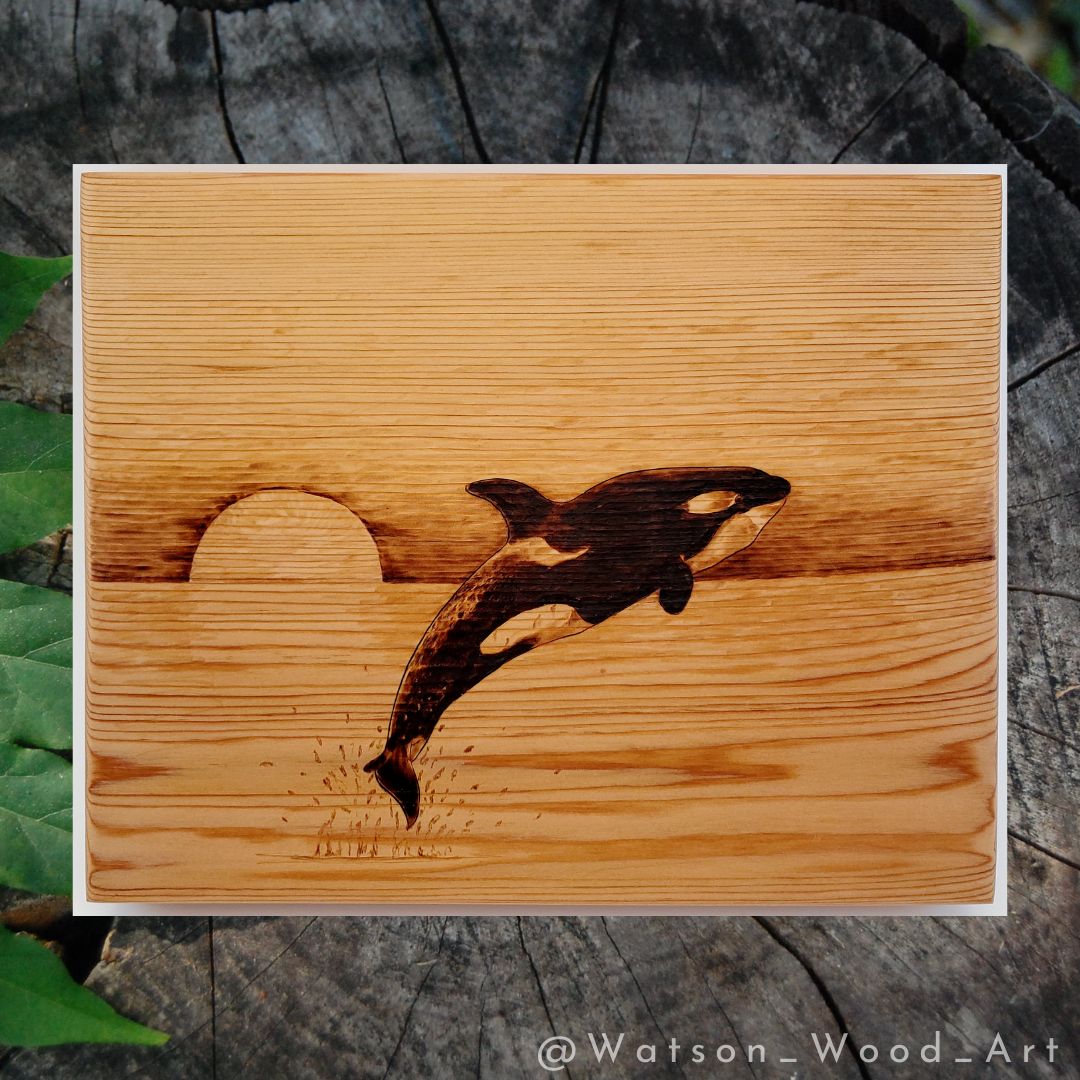 Orca Whale on Western Red Cedar | Scrolller