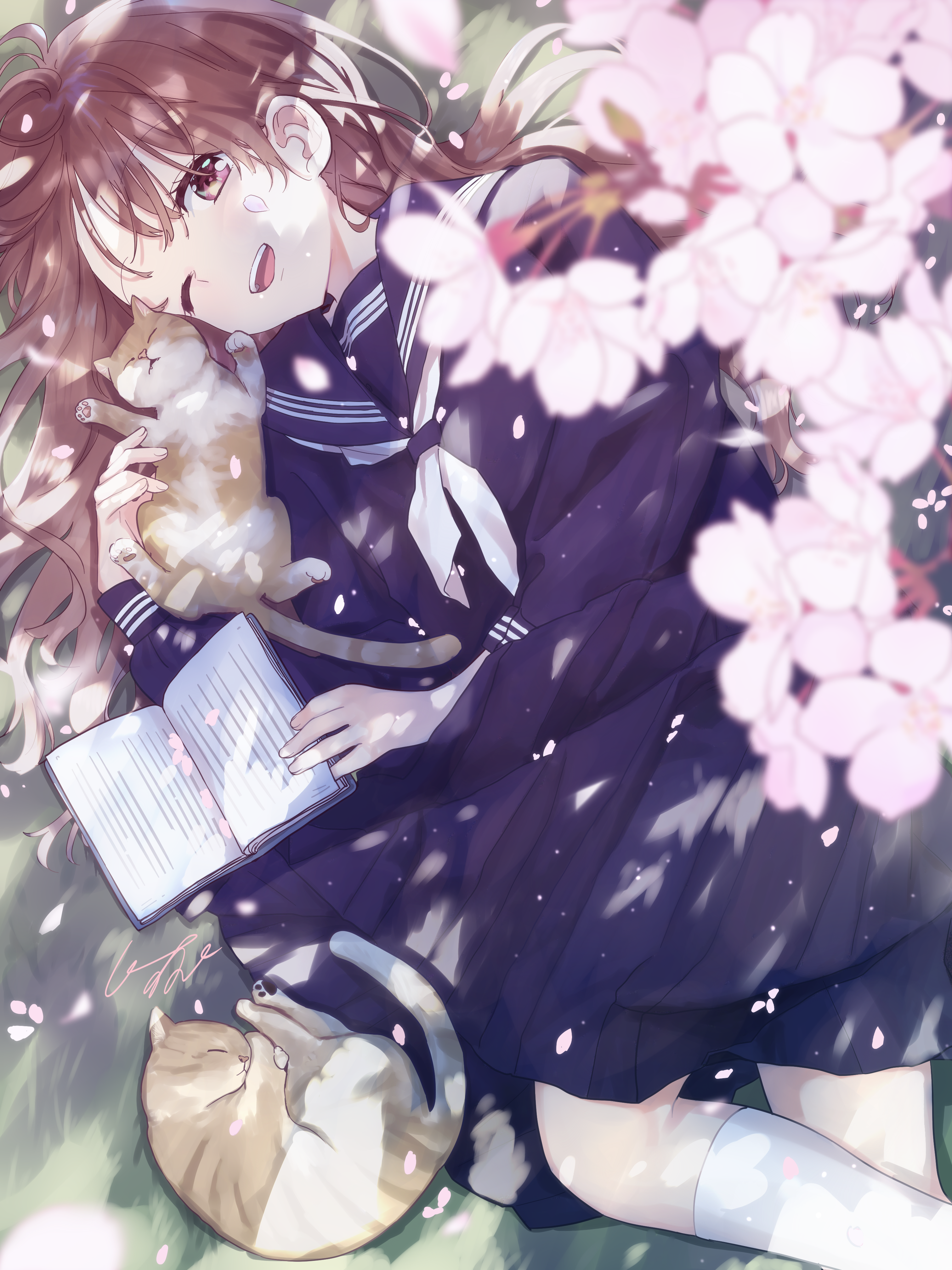 🌸[Original] | Scrolller