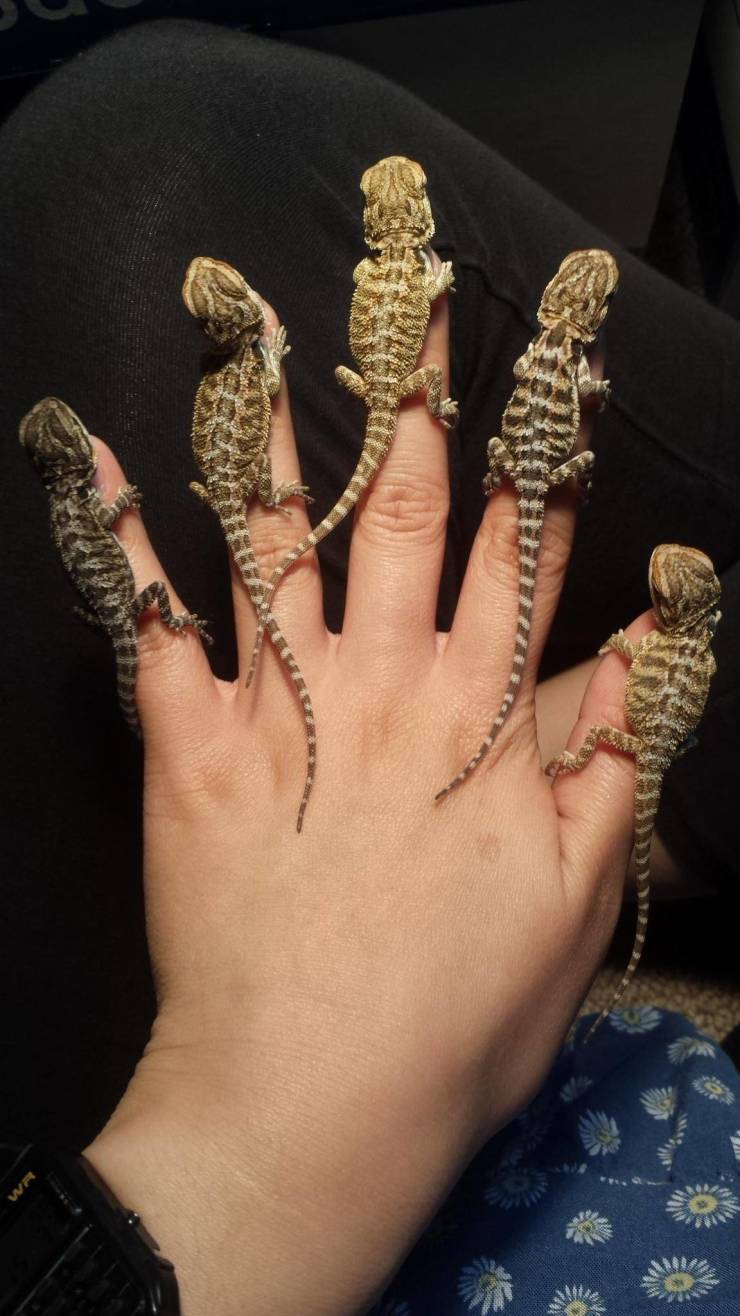 Ou papa! | Scrolller