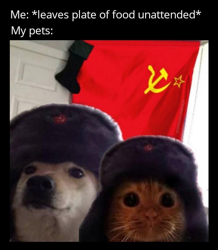 OUR food | Scrolller