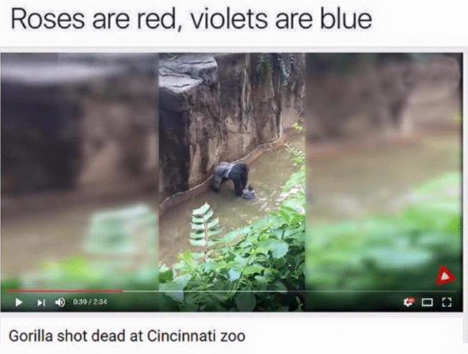 Our hero | Scrolller