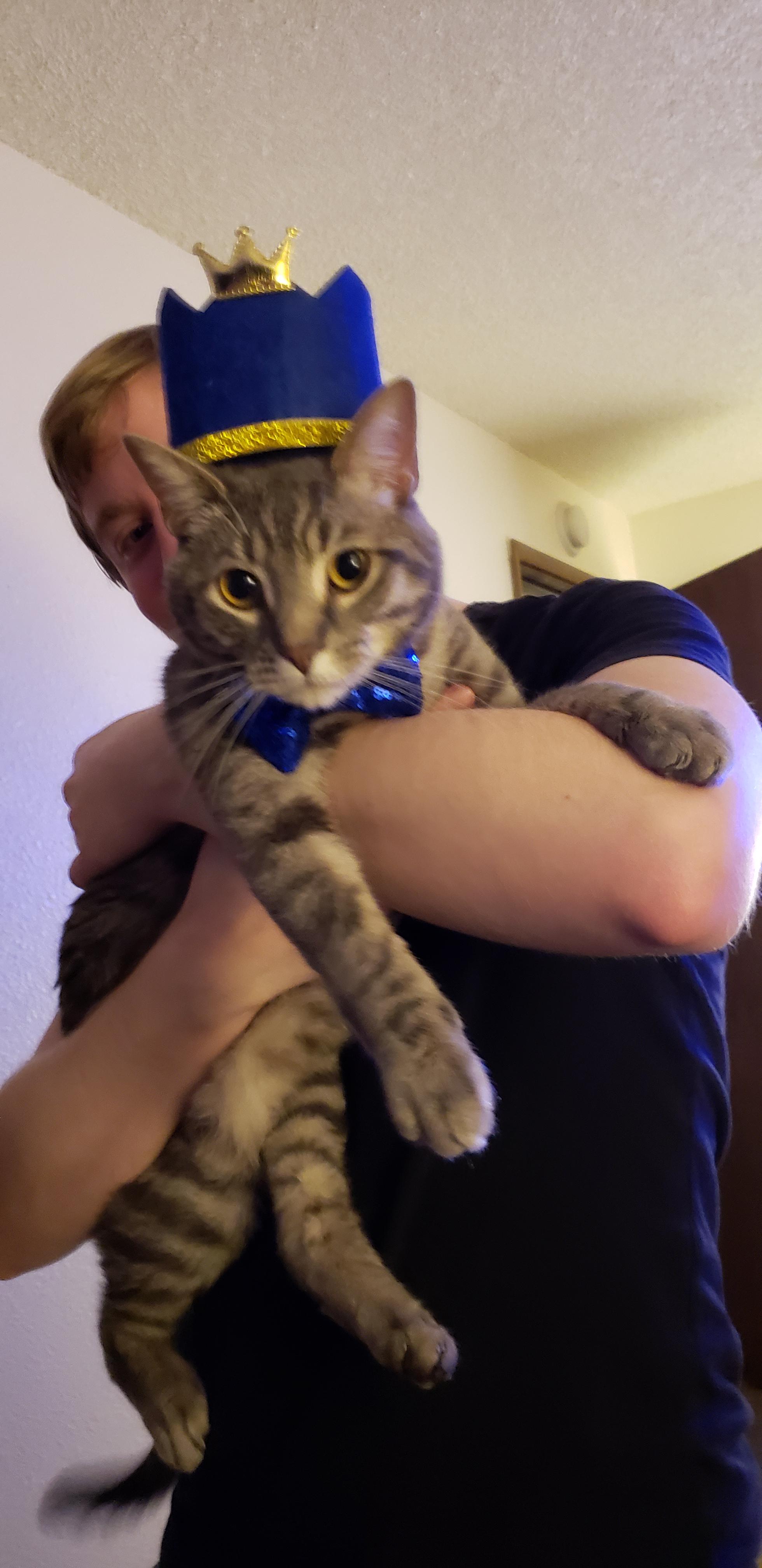 Our king | Scrolller