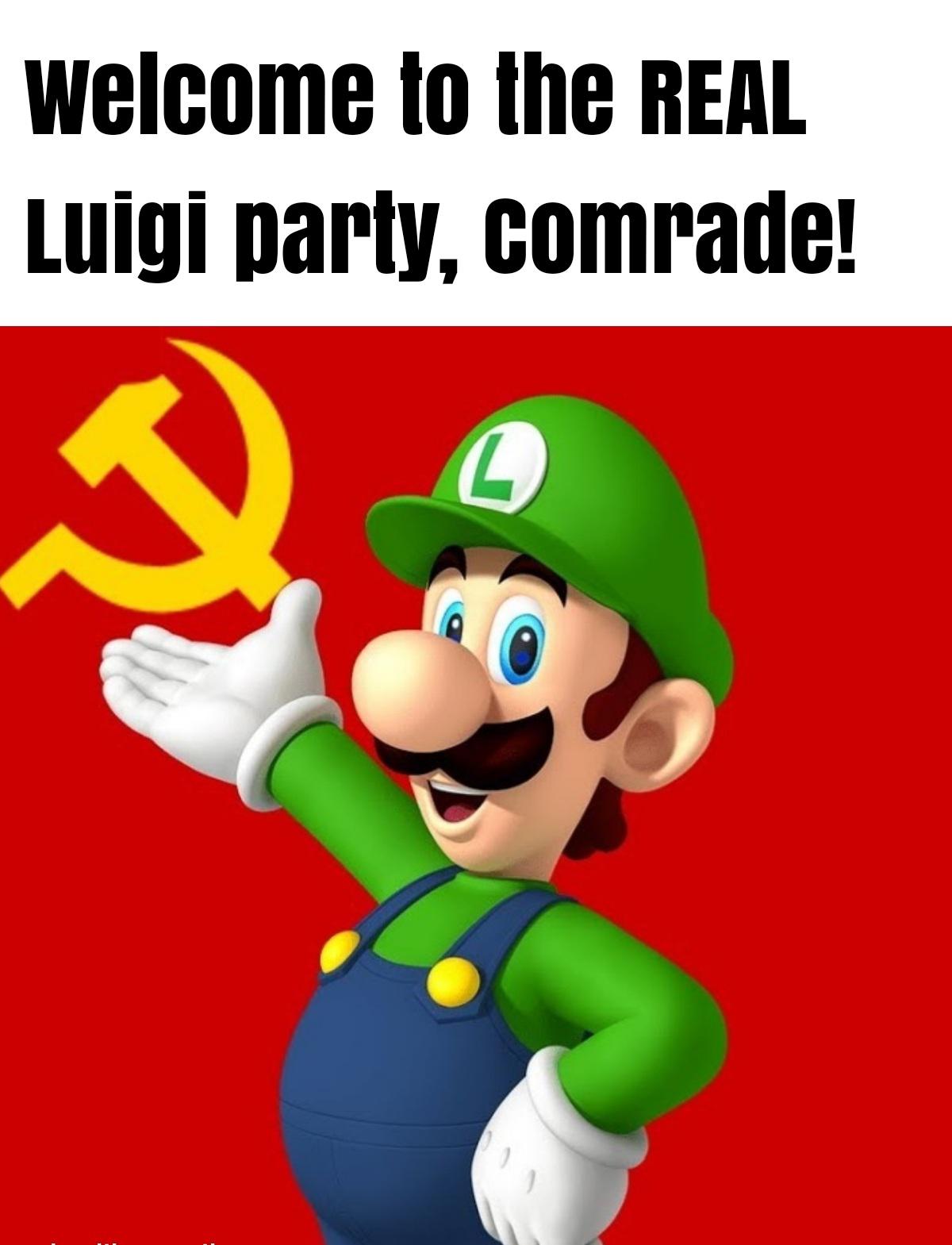 OUR Luigi party... | Scrolller