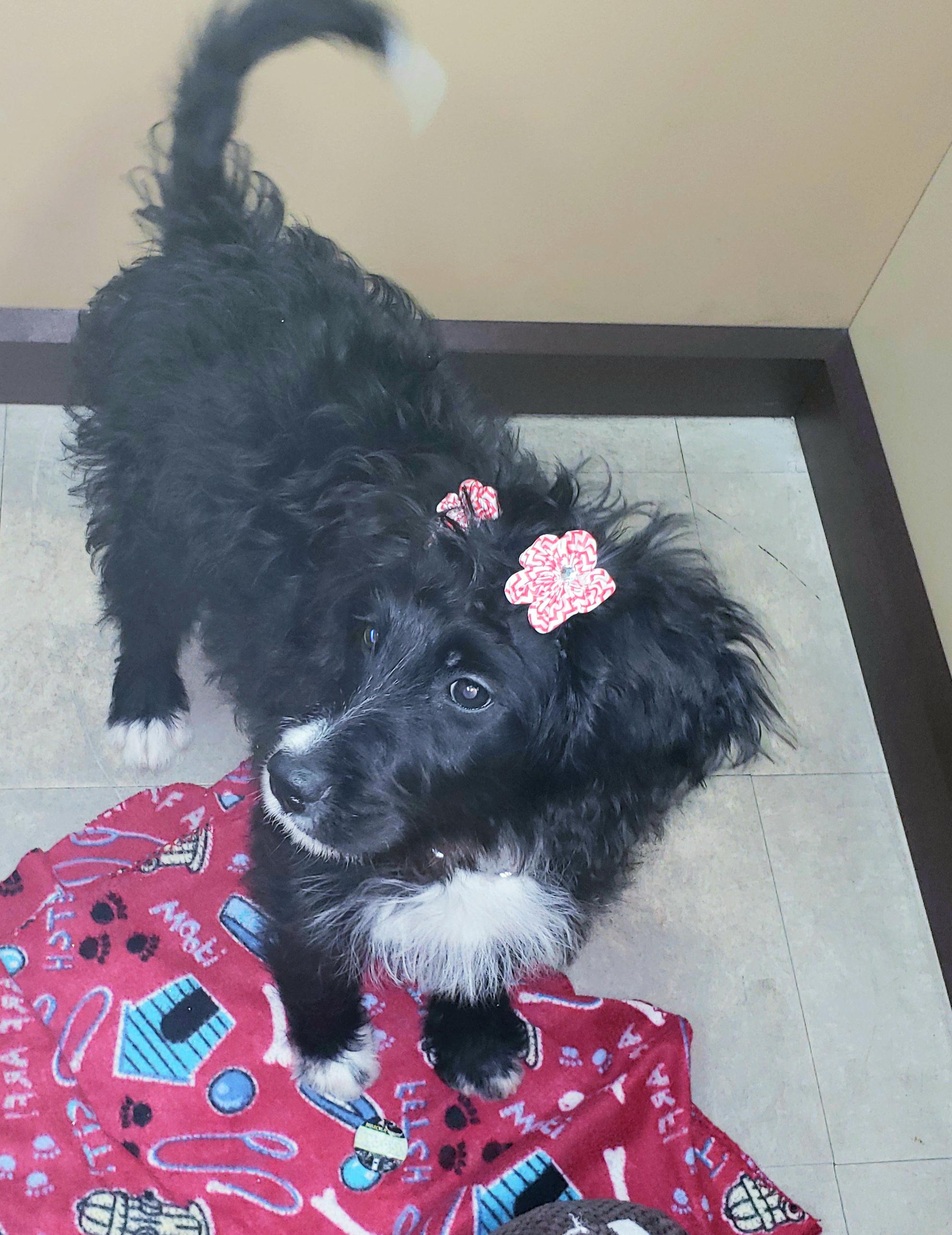 Our new baby, Hazel! | Scrolller