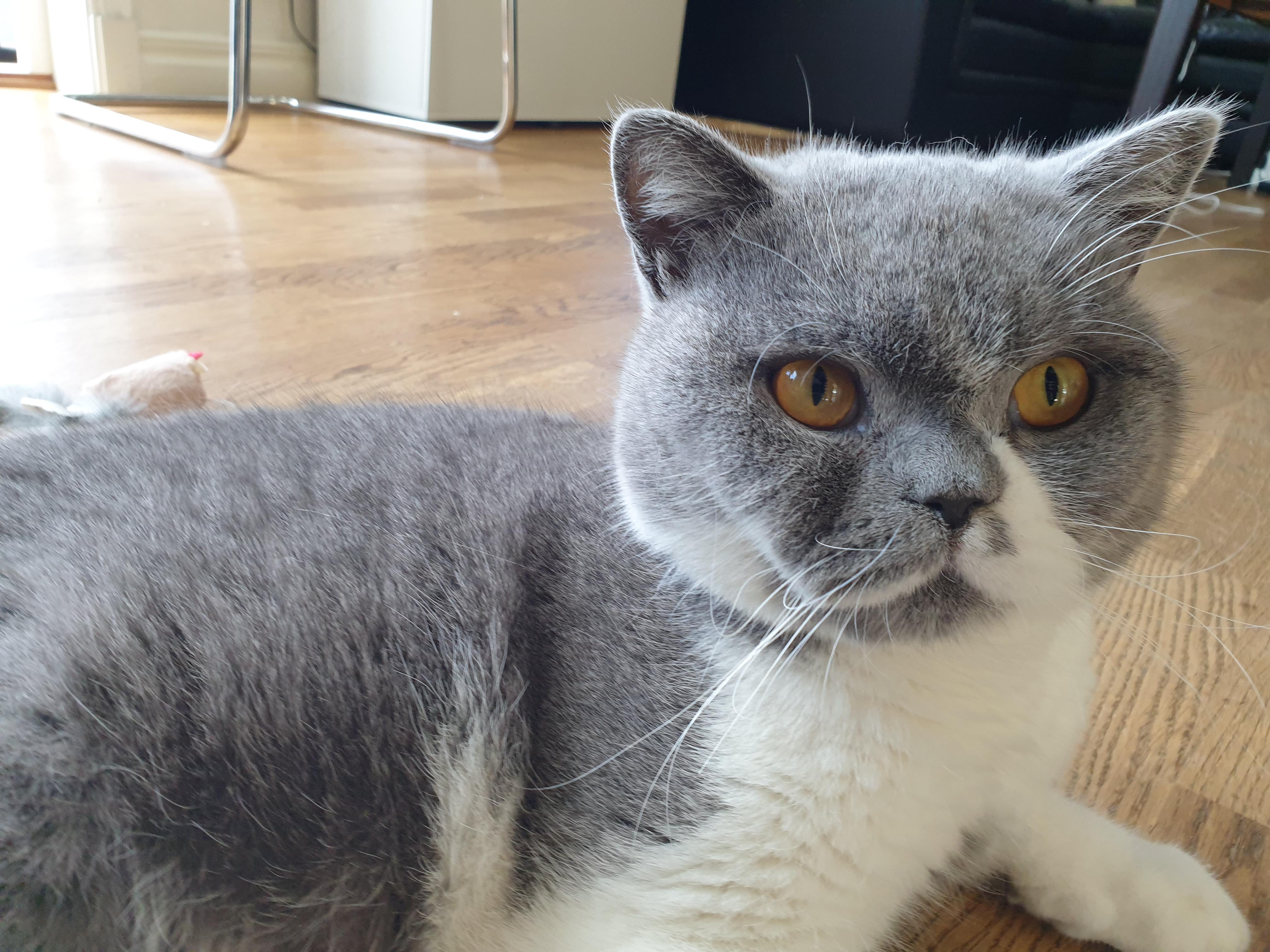 Our Teddy | Scrolller