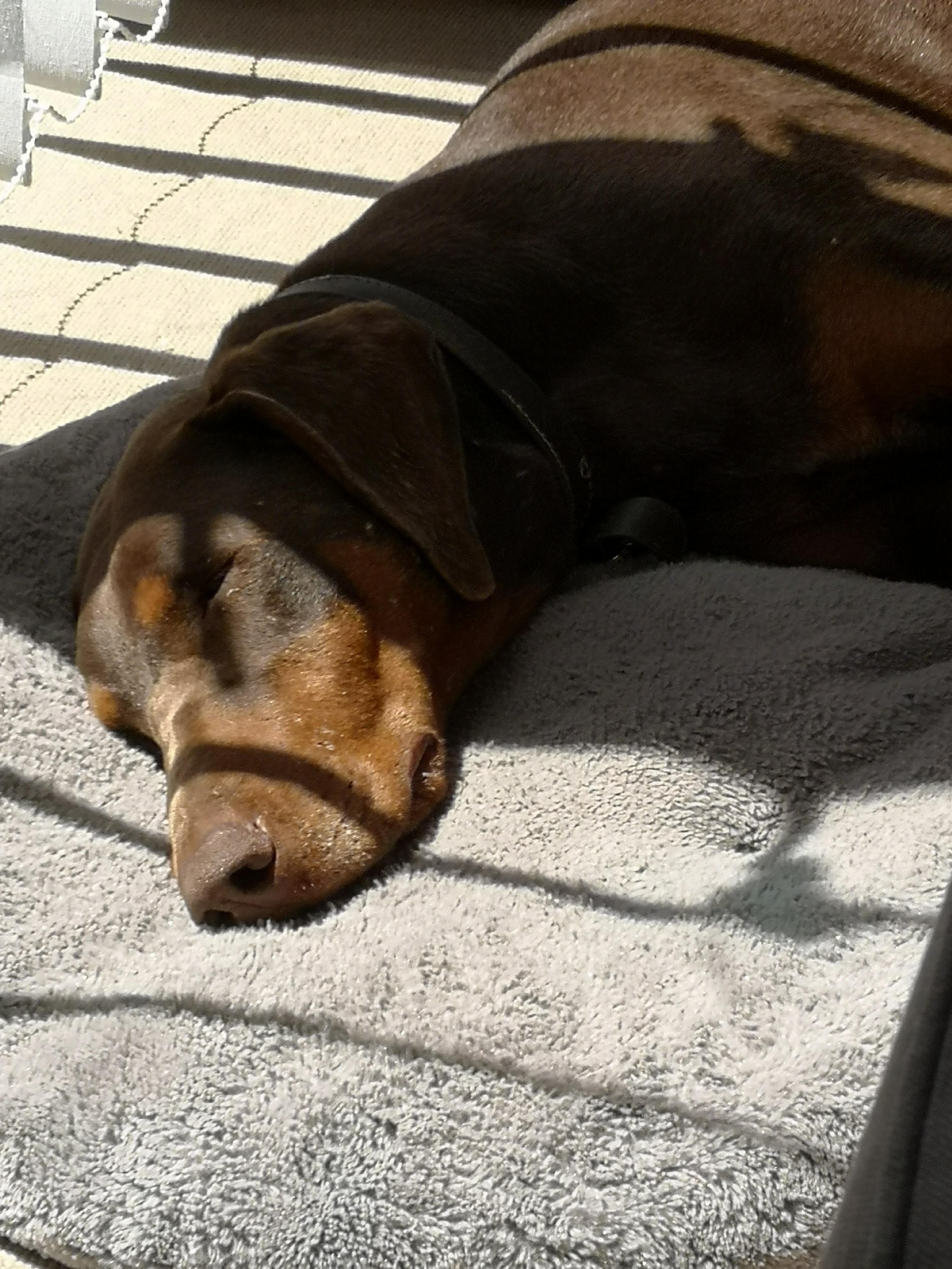 Our vicious lady | Scrolller