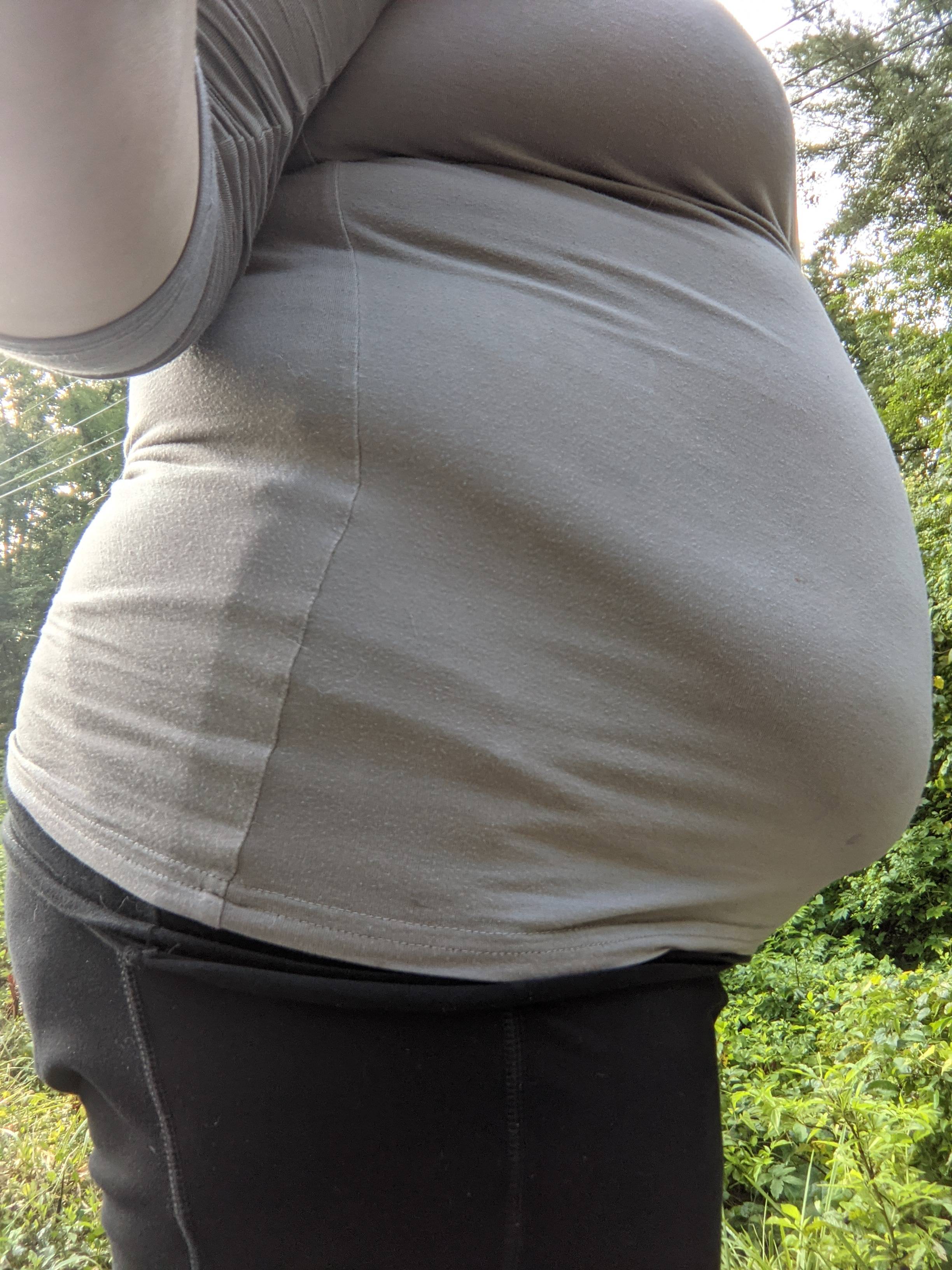 Out for a waddle. | Scrolller