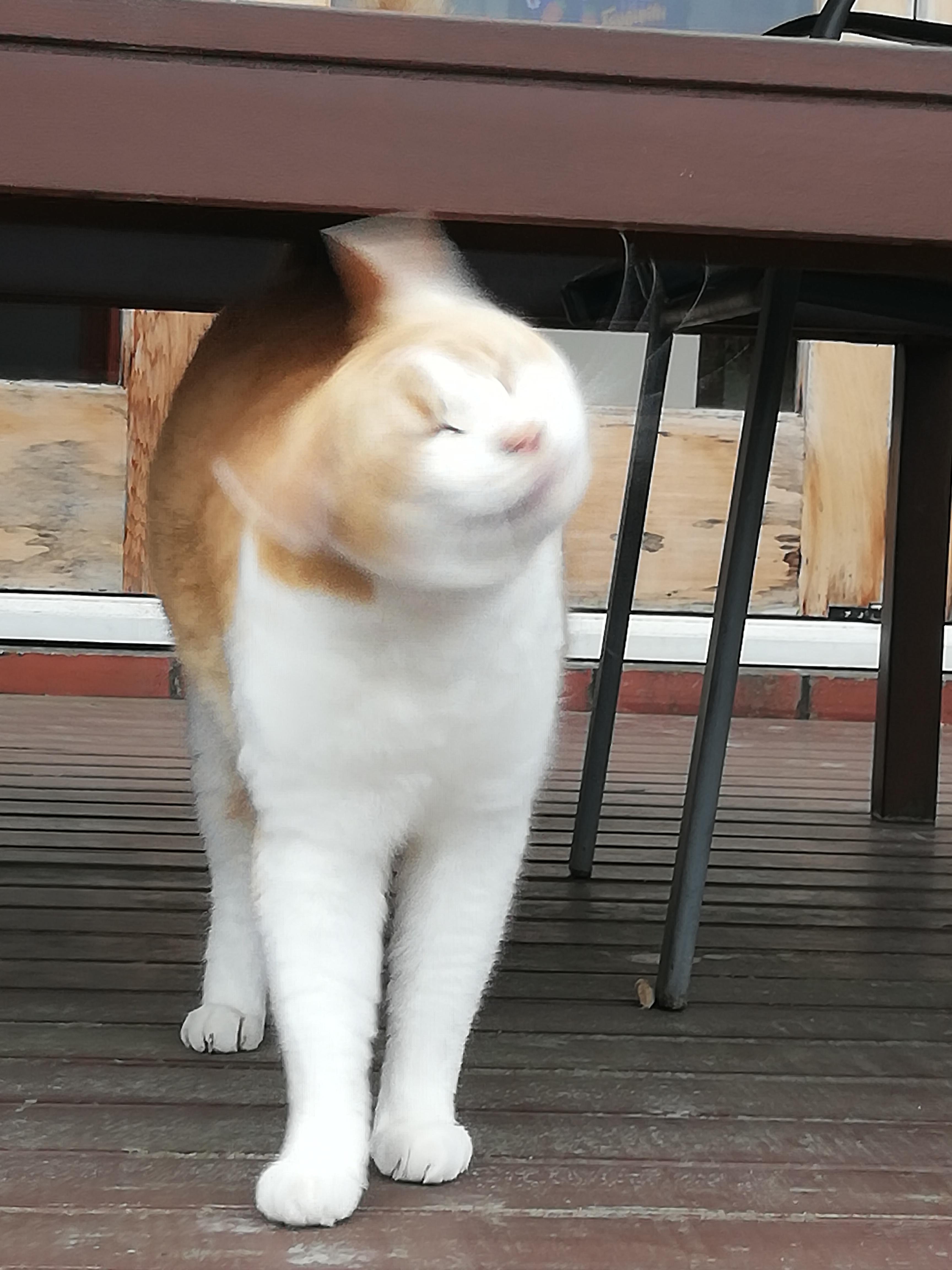 Outdoor Drill | Scrolller