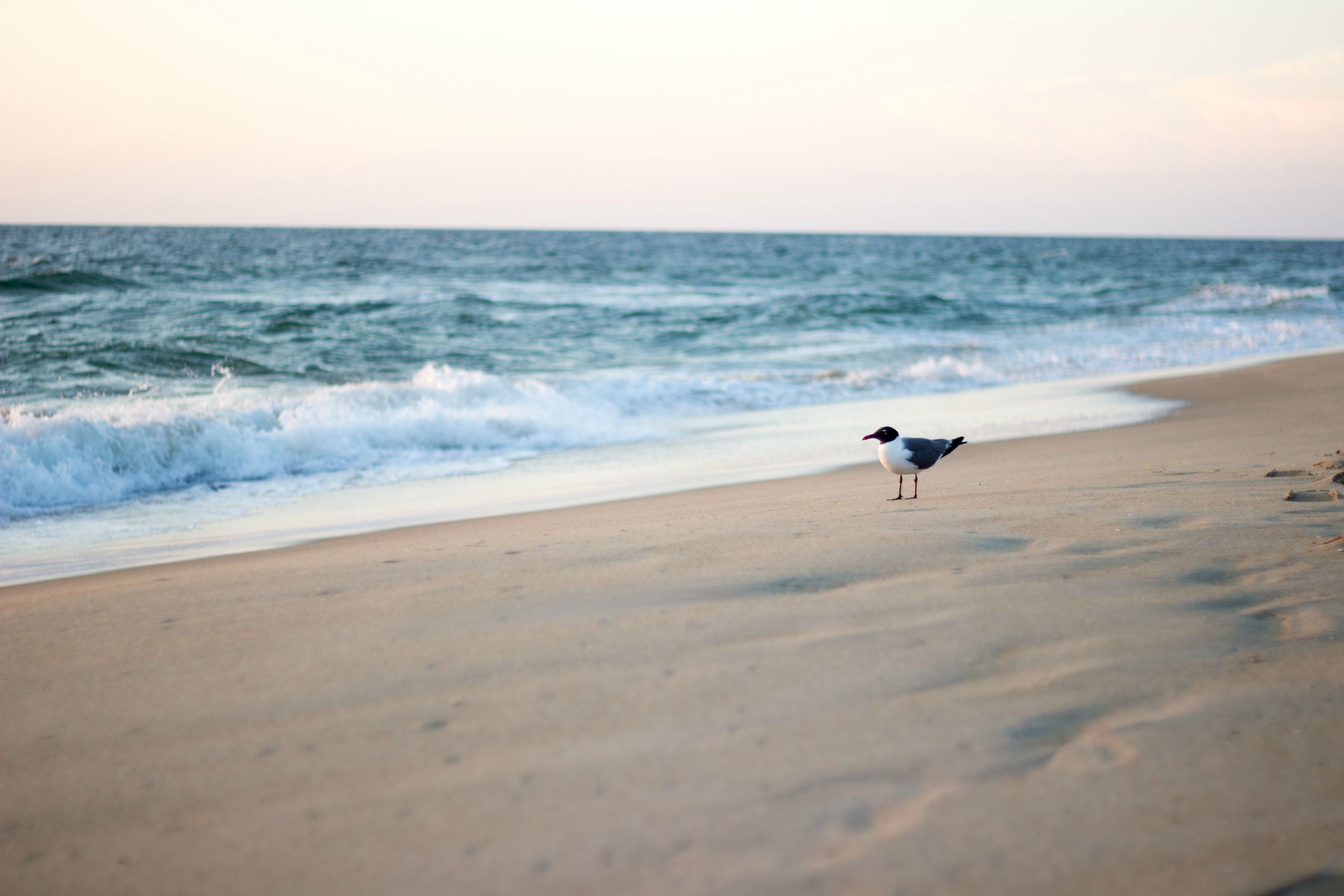 Outer Banks North Carolina | Scrolller