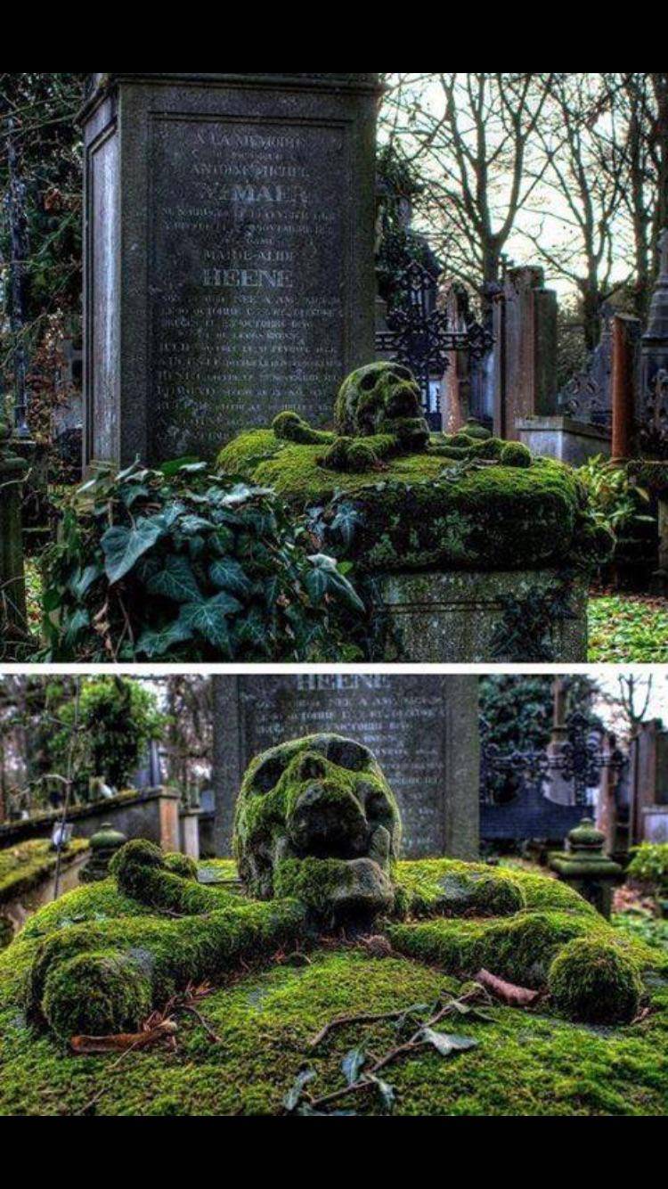 Overgrown pirate grave from the 1800s | Scrolller