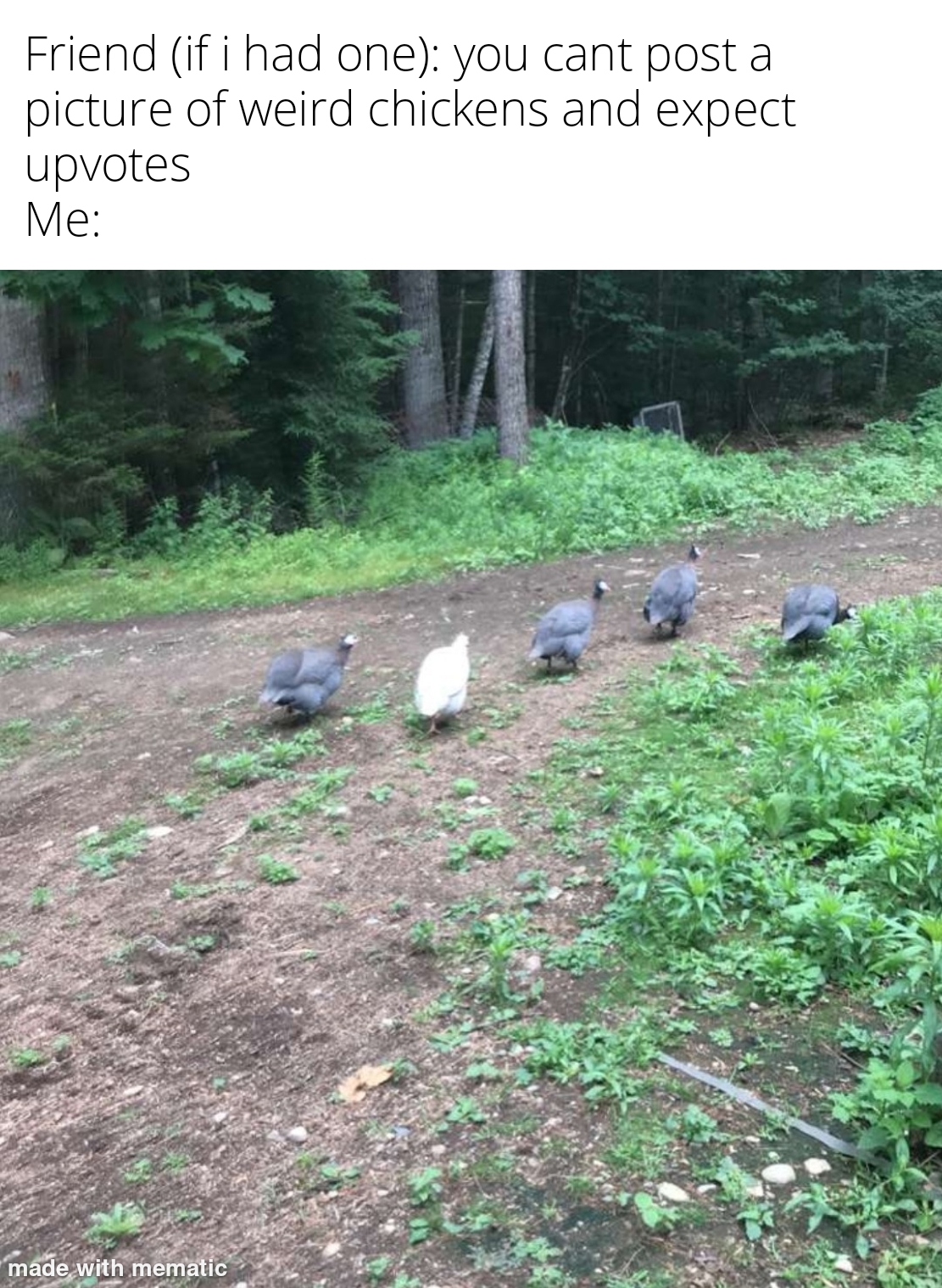 Overused and new | Scrolller