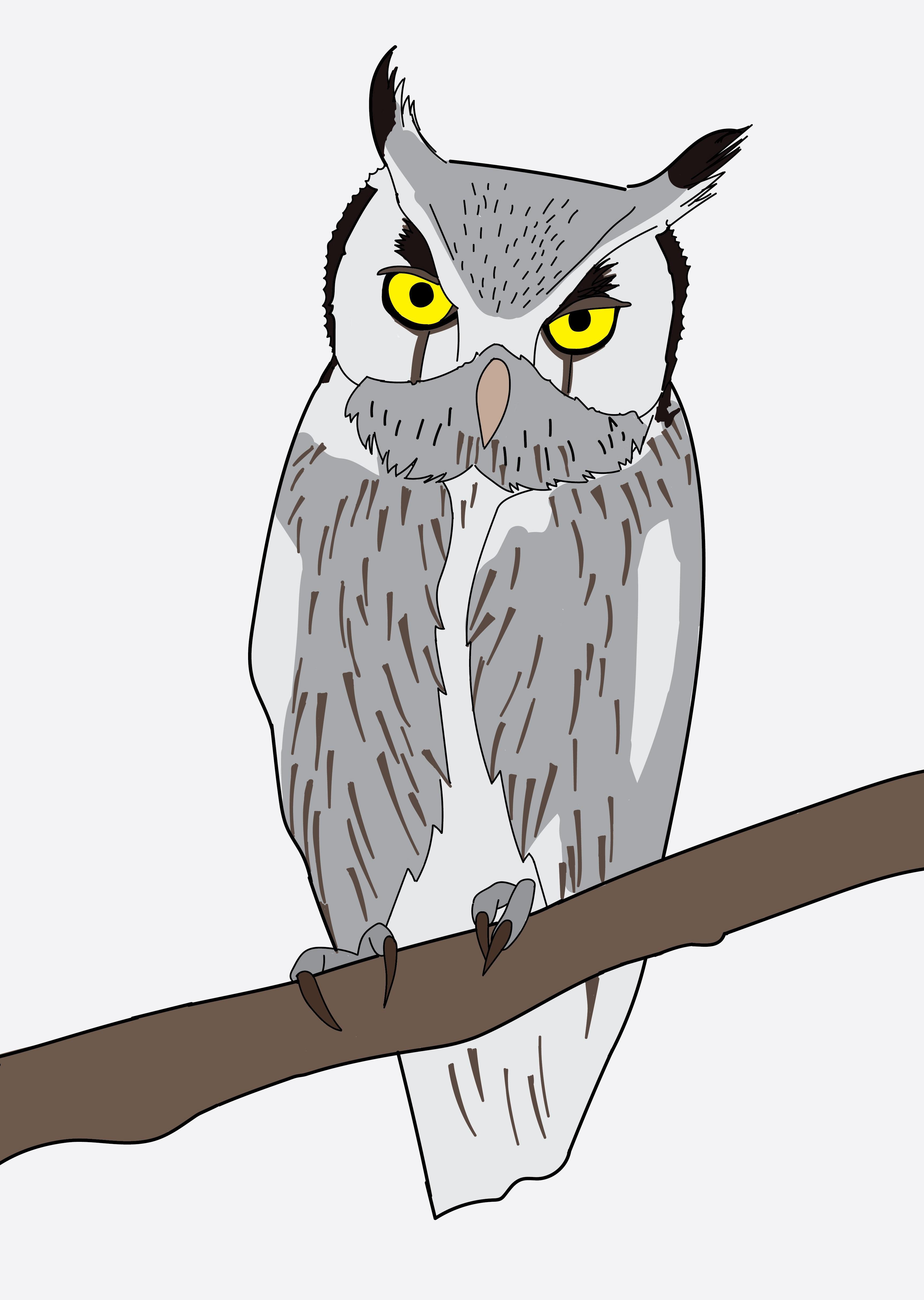 OWL by @mellowmane94 | Scrolller