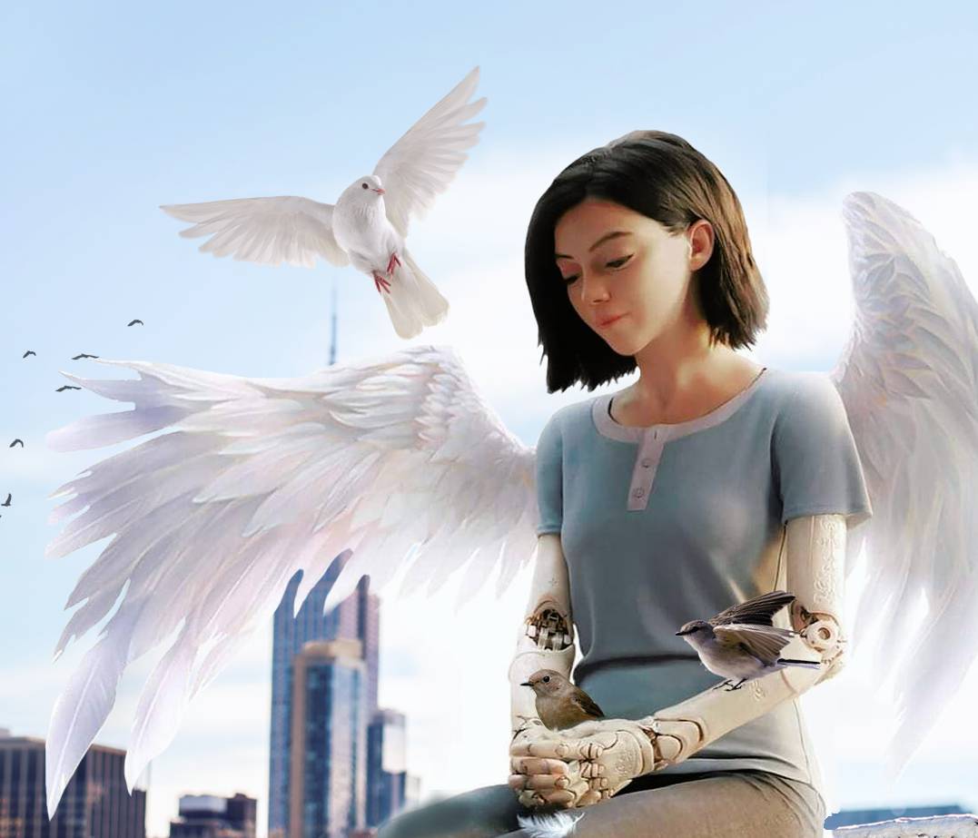 Own Edit ~ bird's Angel | Scrolller