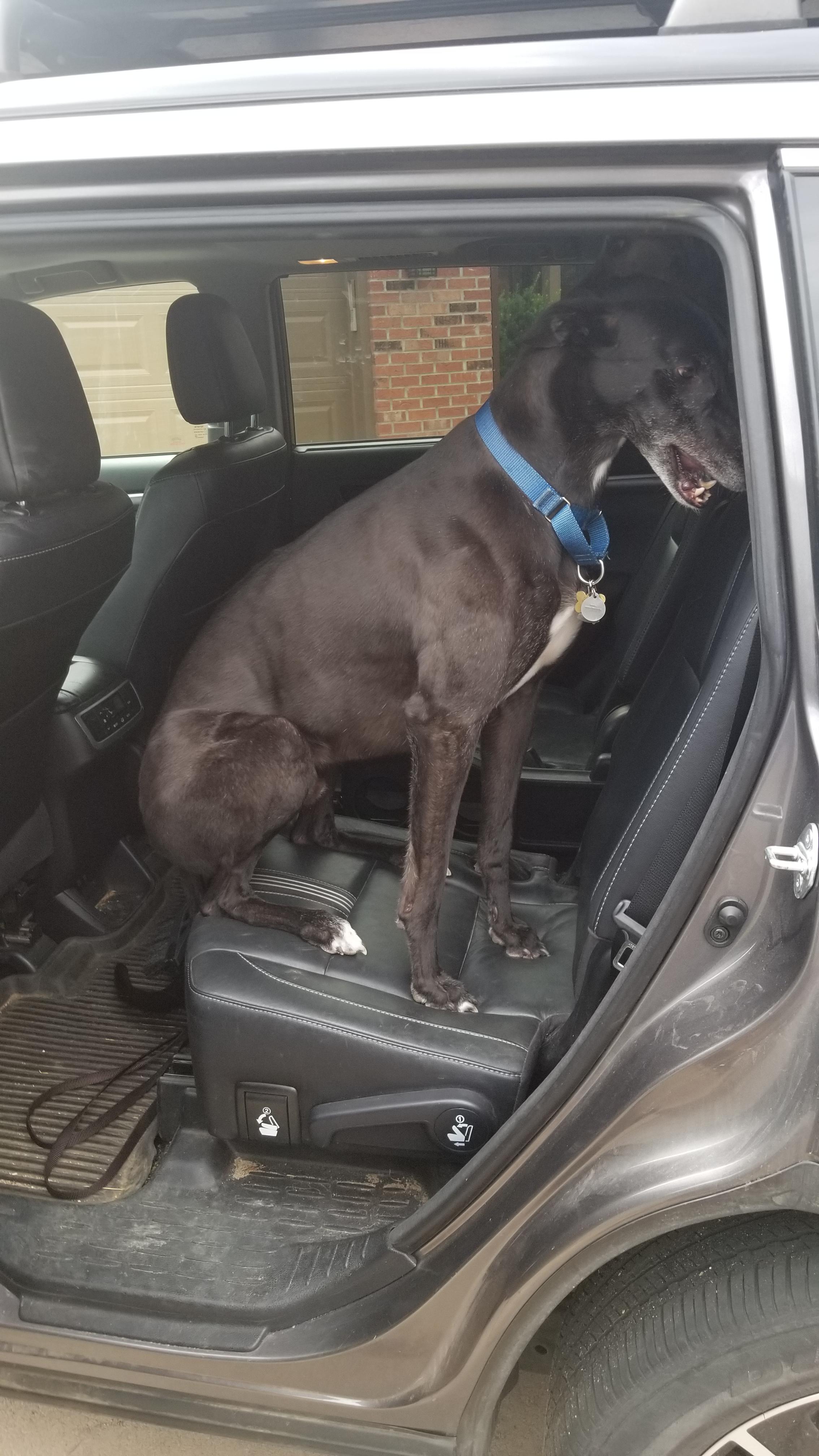 Oz, being quite the derp. | Scrolller