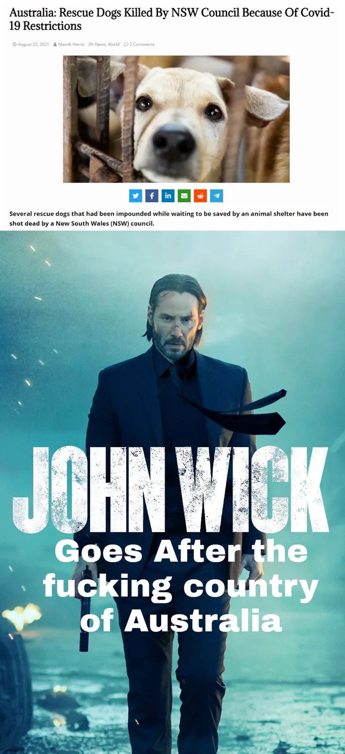 Ozzieland is doomed | Scrolller